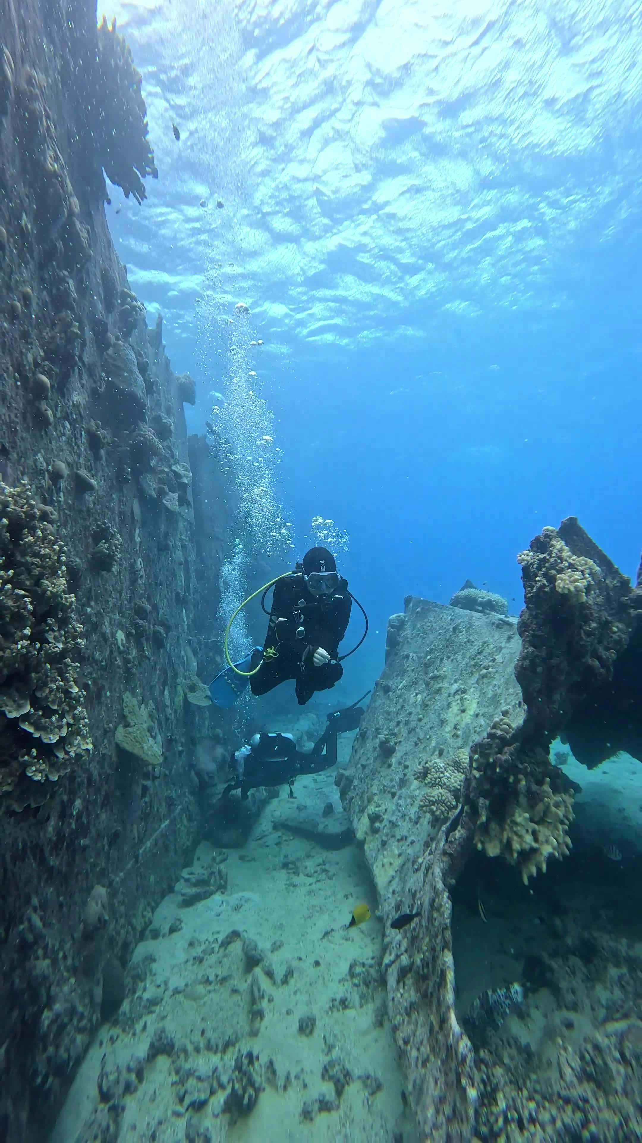 Scuba Divers Exploring Shipwreck Underwater Free Stock Video Footage ...