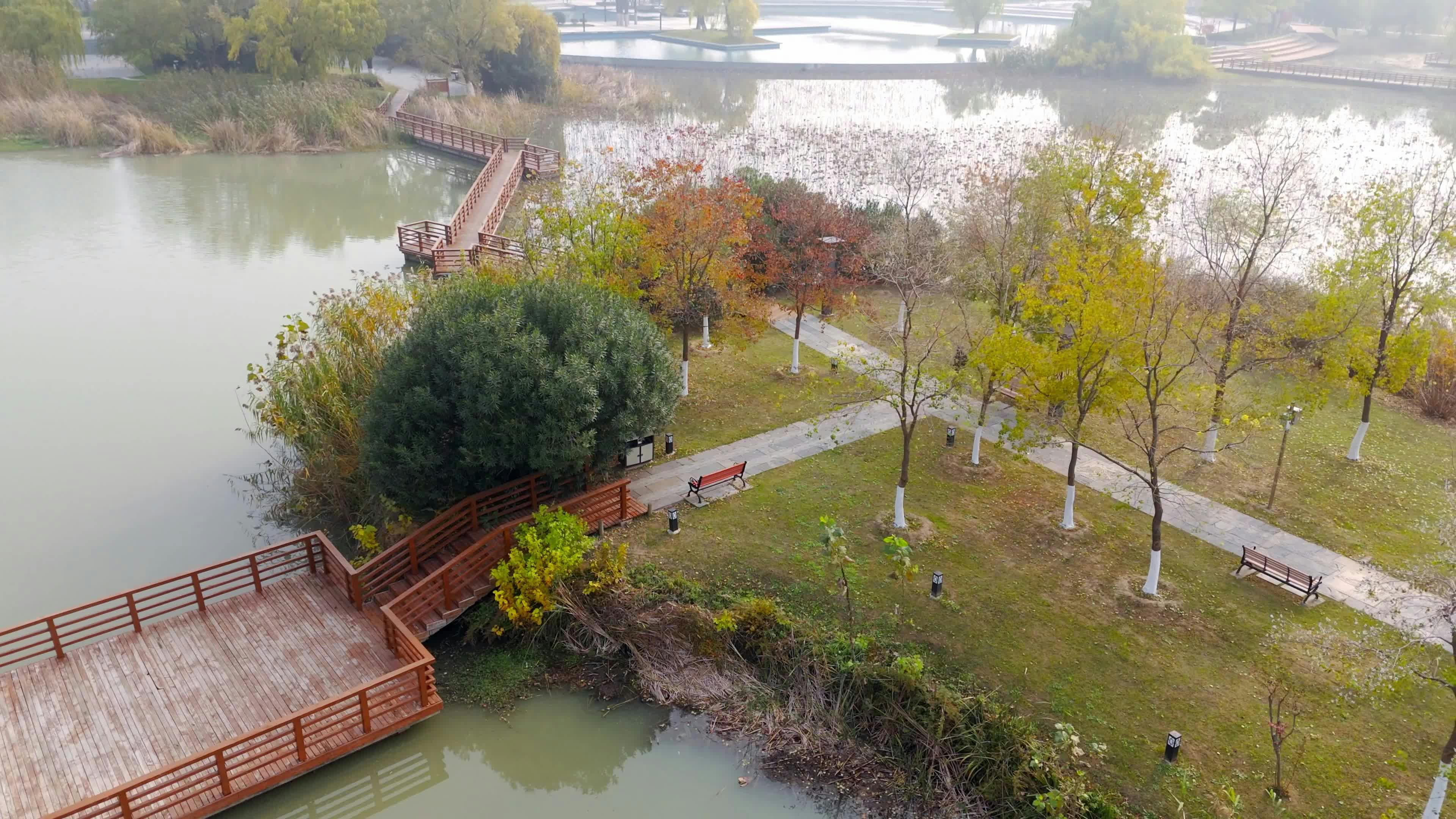 Easy Walk Videos, Download The BEST Free 4k Stock Video Footage & Easy ...