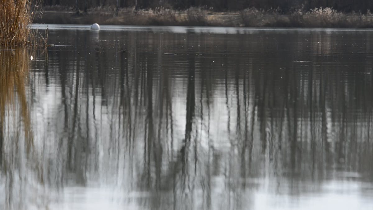 Calming Nature Videos, Download The BEST Free 4k Stock Video Footage ...