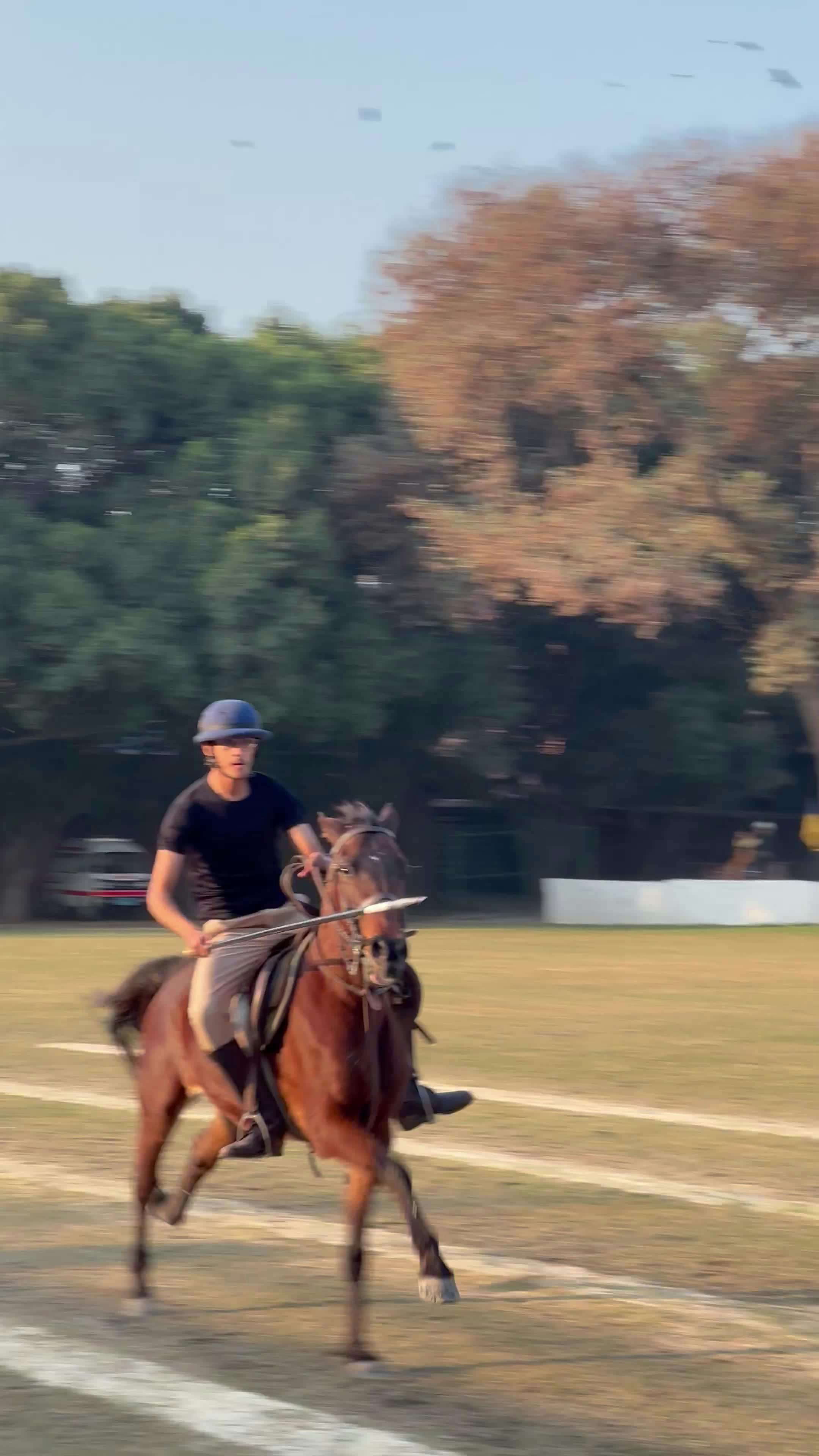 Bella+Gallops+Naked+Leaks Videos, Download The BEST Free 4k Stock Video ...
