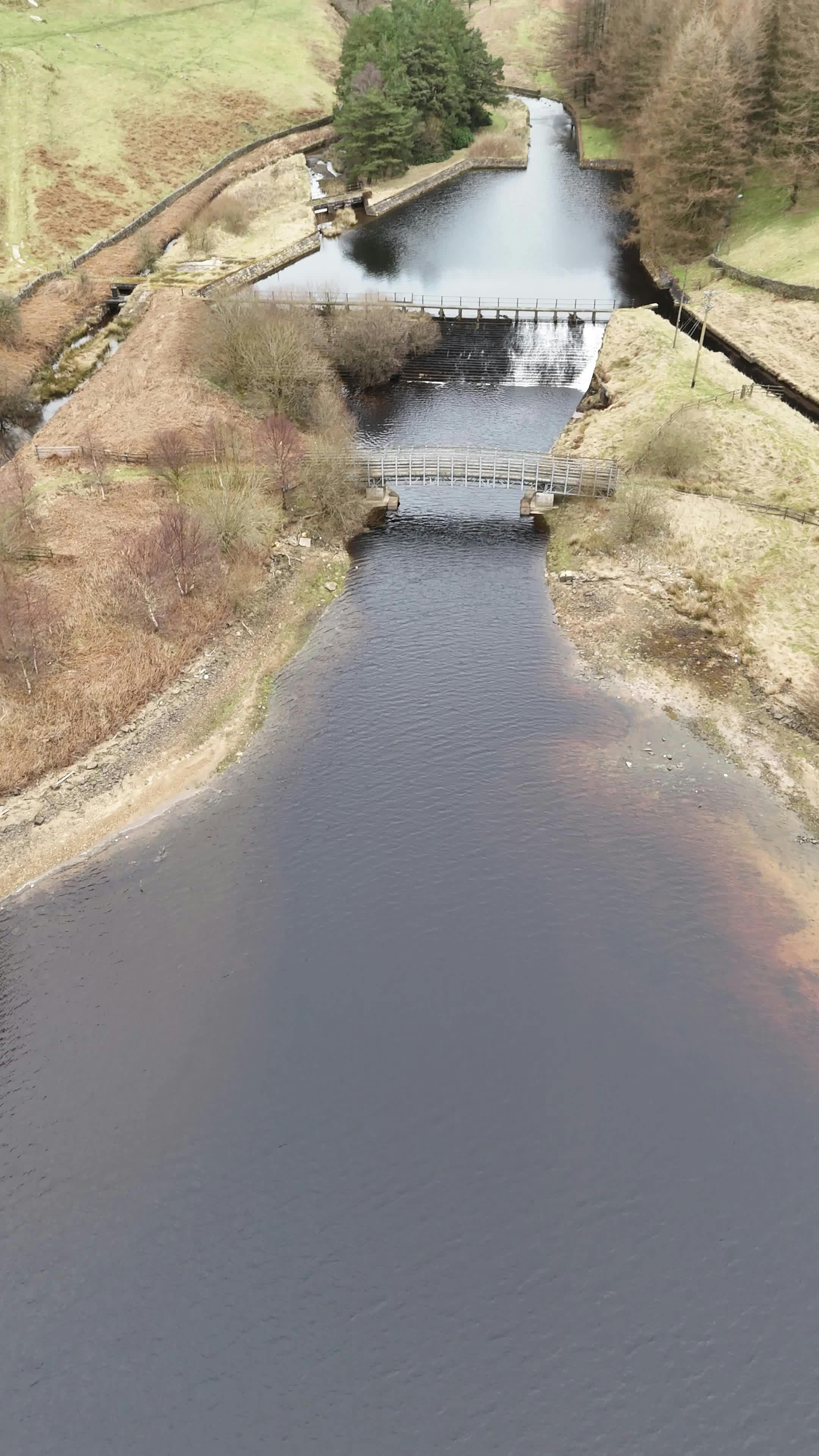 Banks Ansigt Videos, Download The BEST Free 4k Stock Video Footage ...