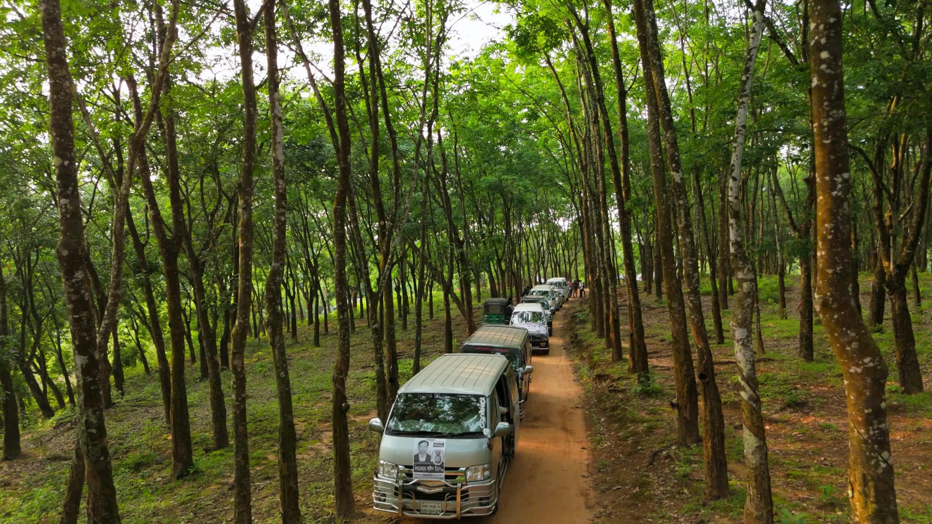 Zoo Safari Videos, Download The BEST Free 4k Stock Video Footage & Zoo ...