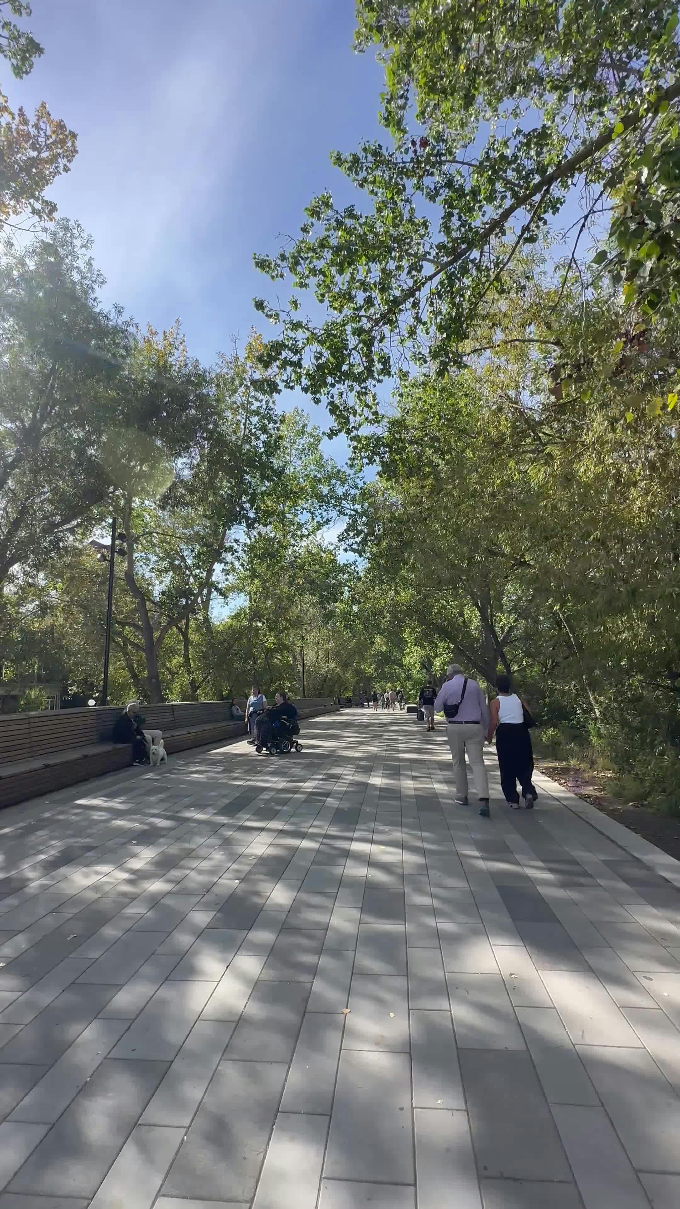 Los+Pictos Videos, Download The BEST Free 4k Stock Video Footage & Los ...