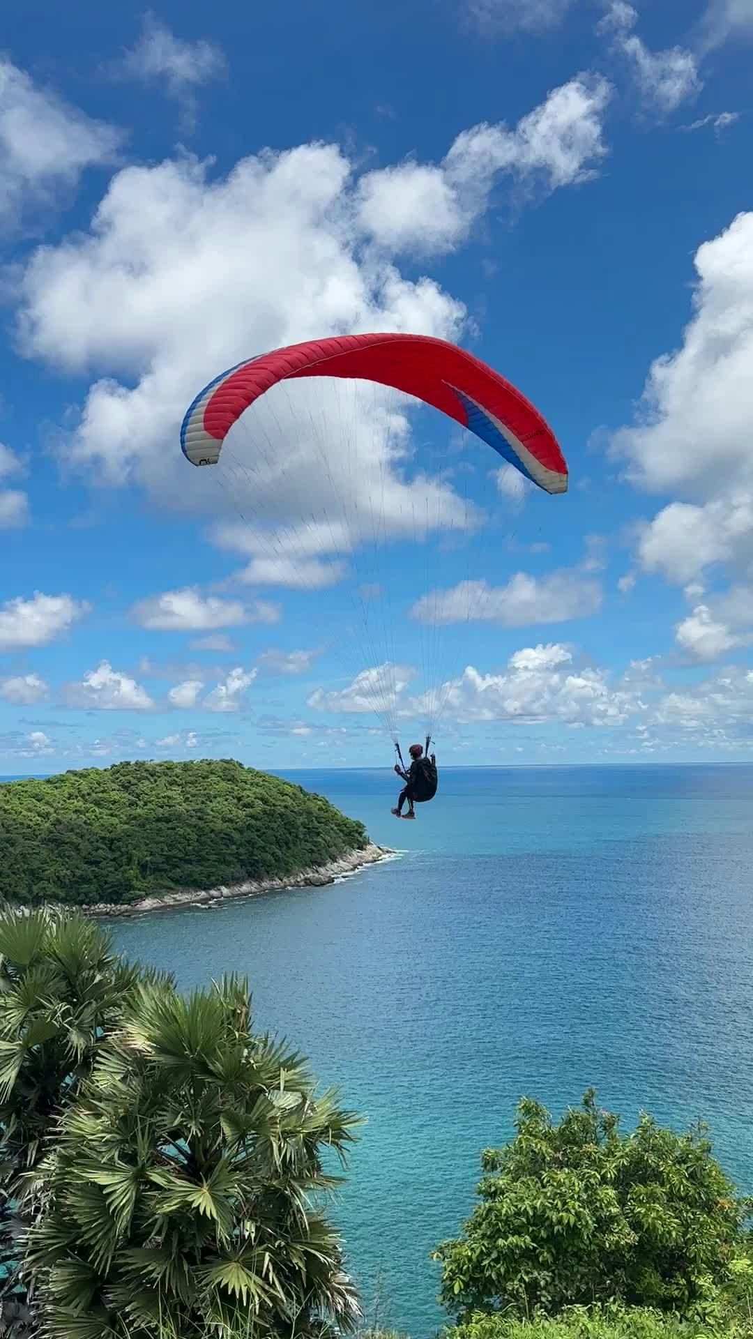 Flying Squid Videos, Download The BEST Free 4k Stock Video Footage ...