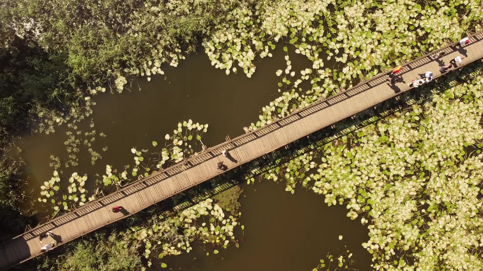 Unsplash Video Videos, Download The BEST Free 4k Stock Video Footage ...