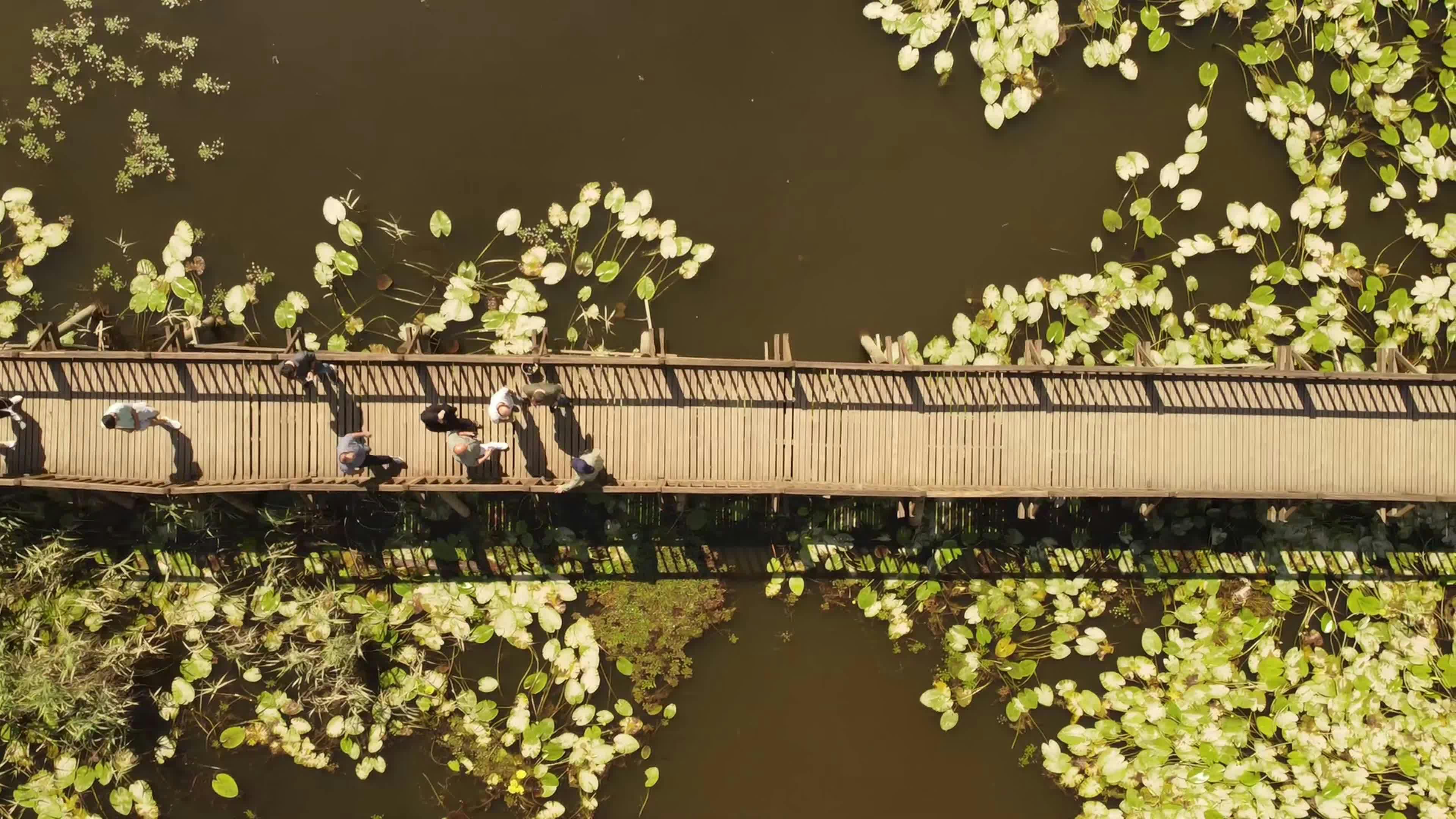 Unsplash Video Videos, Download The BEST Free 4k Stock Video Footage ...