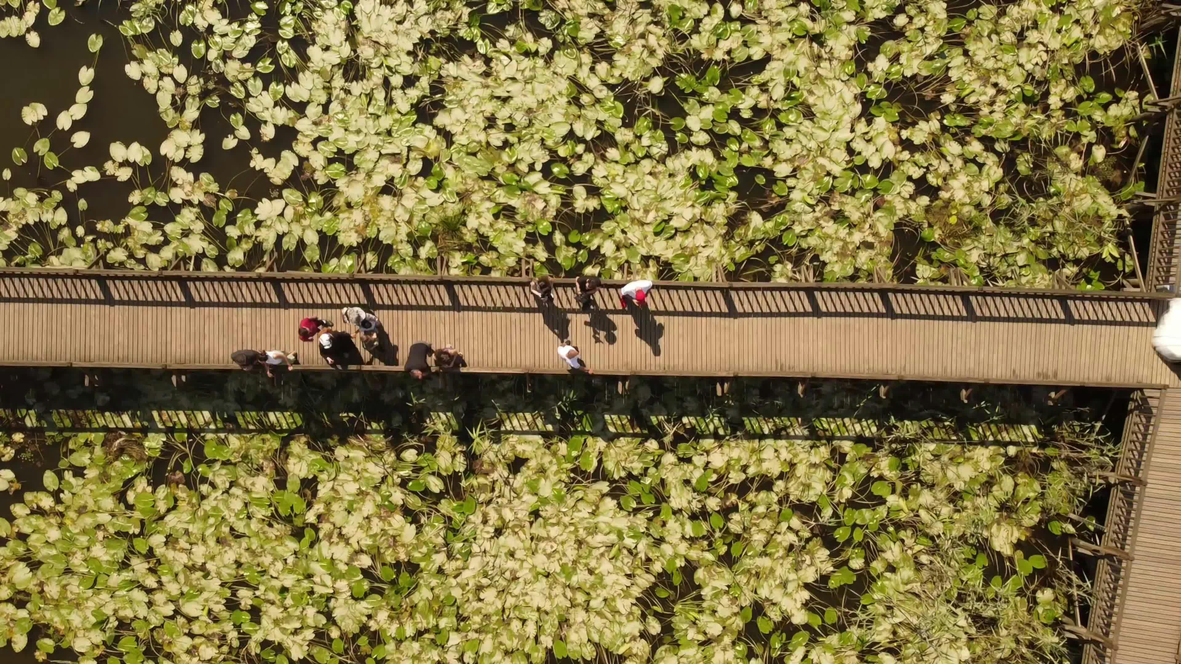 Unsplash Video Videos, Download The BEST Free 4k Stock Video Footage ...