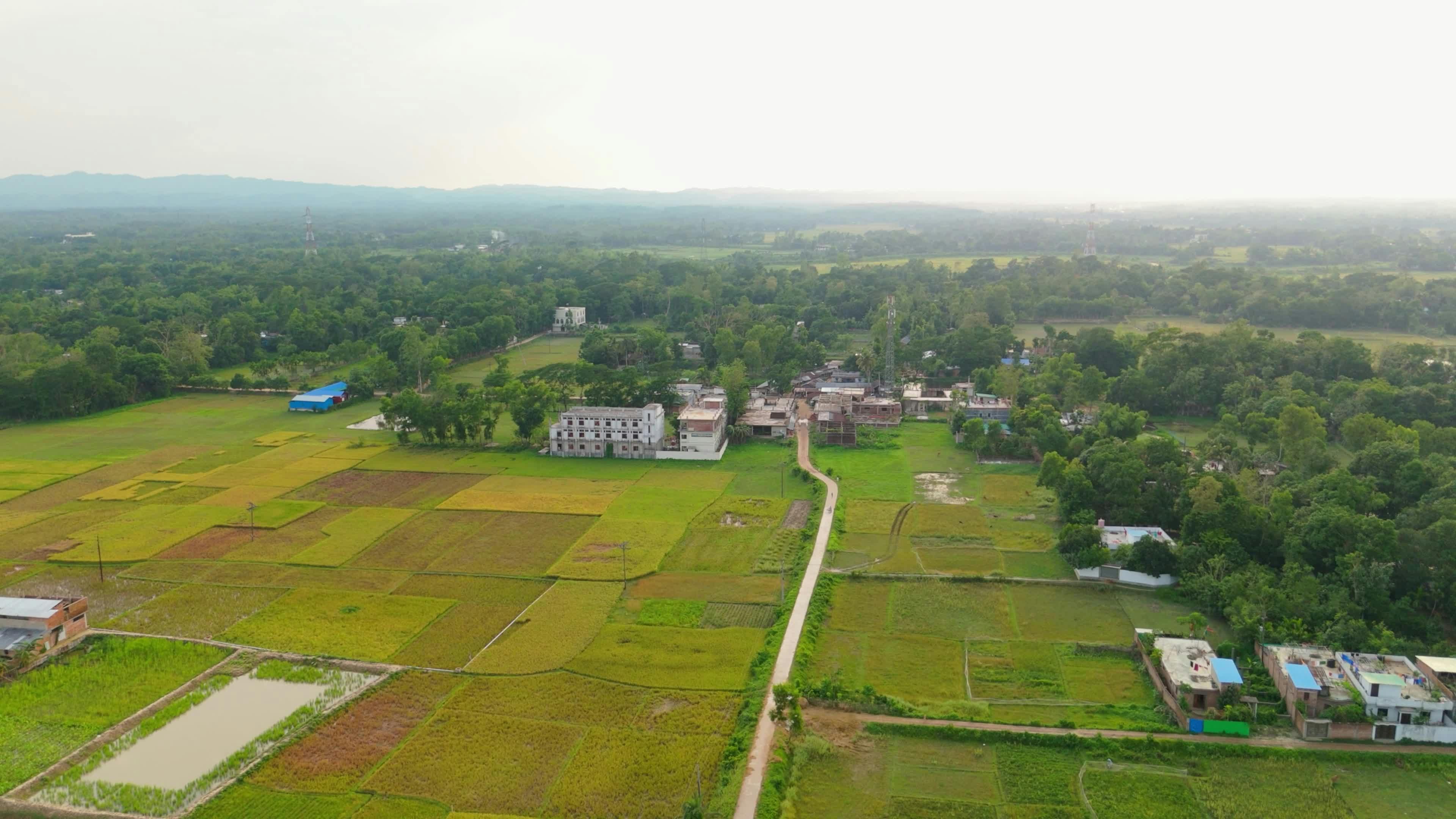 Pueblo De Azimpur, Fatikchhari: Un Pintoresco Paraíso Verde De La Zona ...