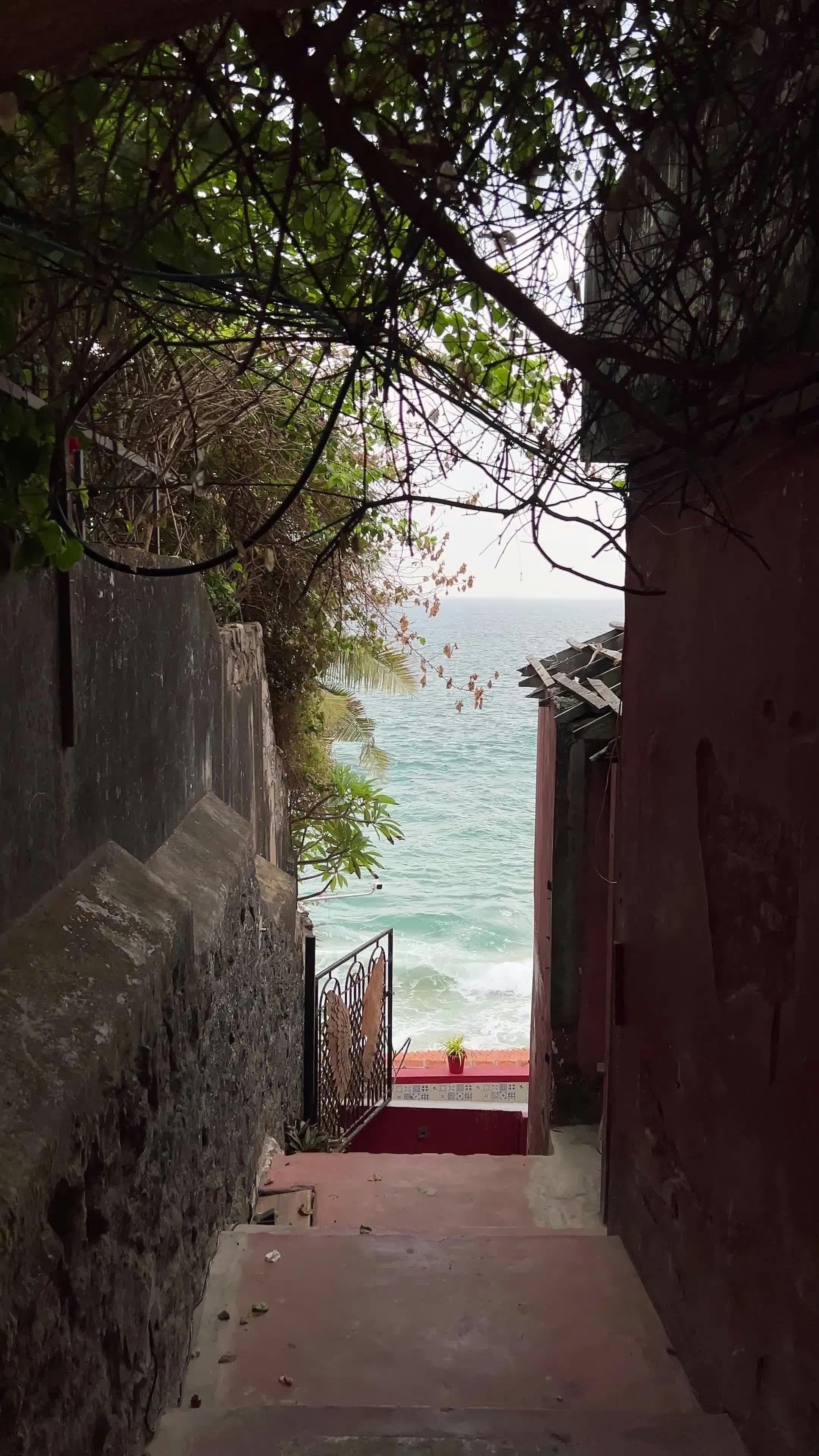 Vines Sea Videos, Download The BEST Free 4k Stock Video Footage & Vines ...