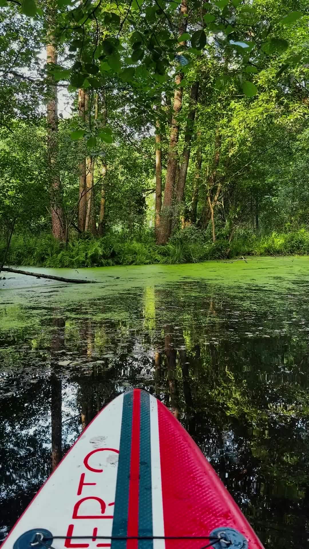 2323k+Fun Videos, Download The BEST Free 4k Stock Video Footage & 2323k ...