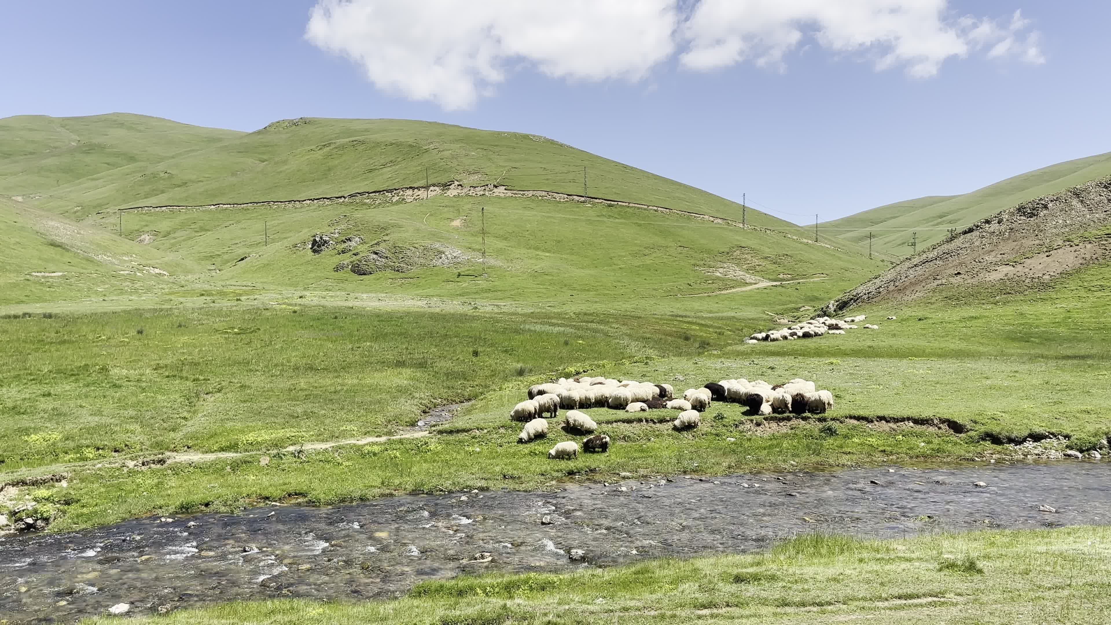 Scenic Pastoral Landscape in Turkey's Highlands Free Stock Video ...