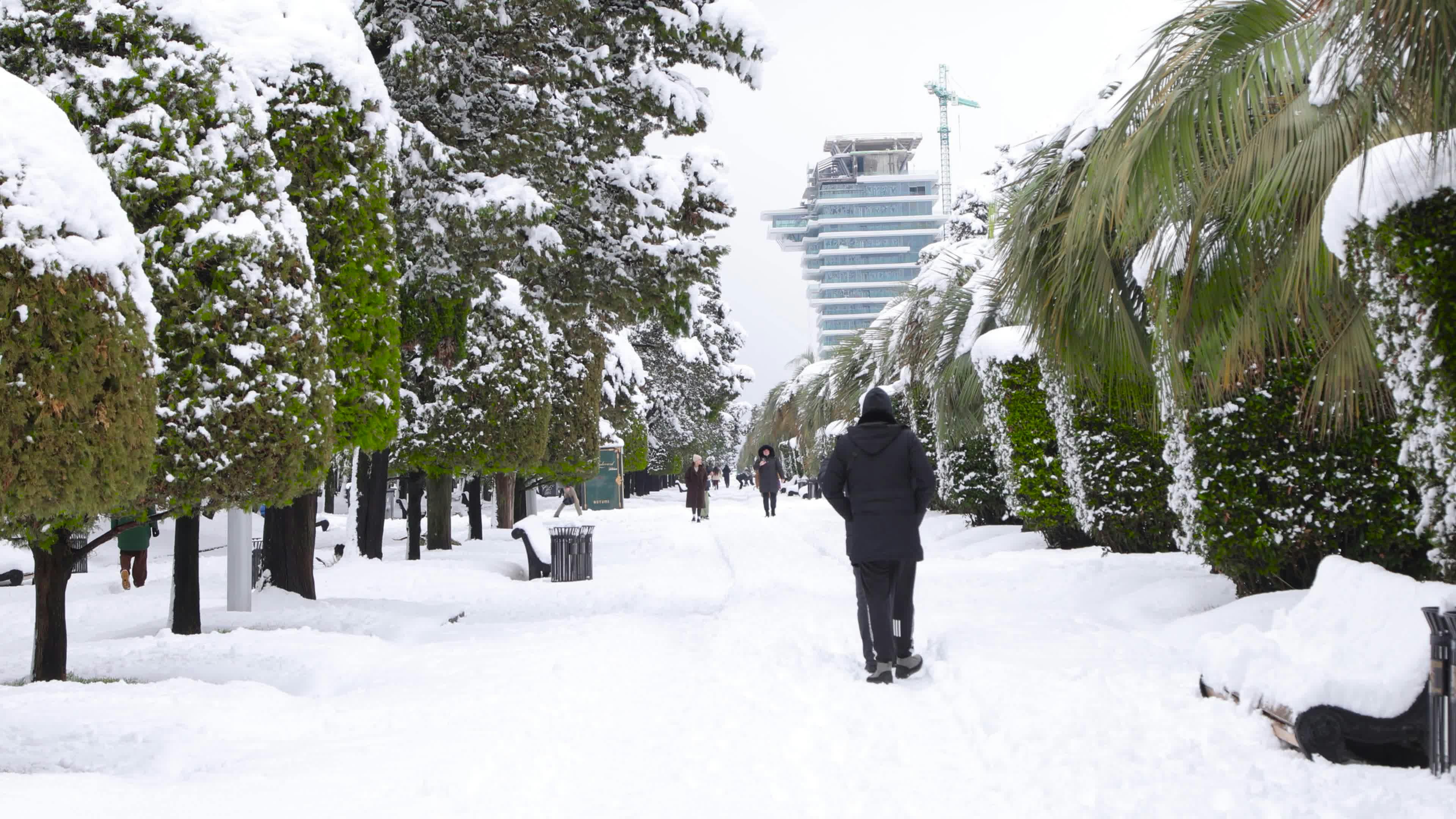 Snowfall Scenery Videos, Download The BEST Free 4k Stock Video Footage ...