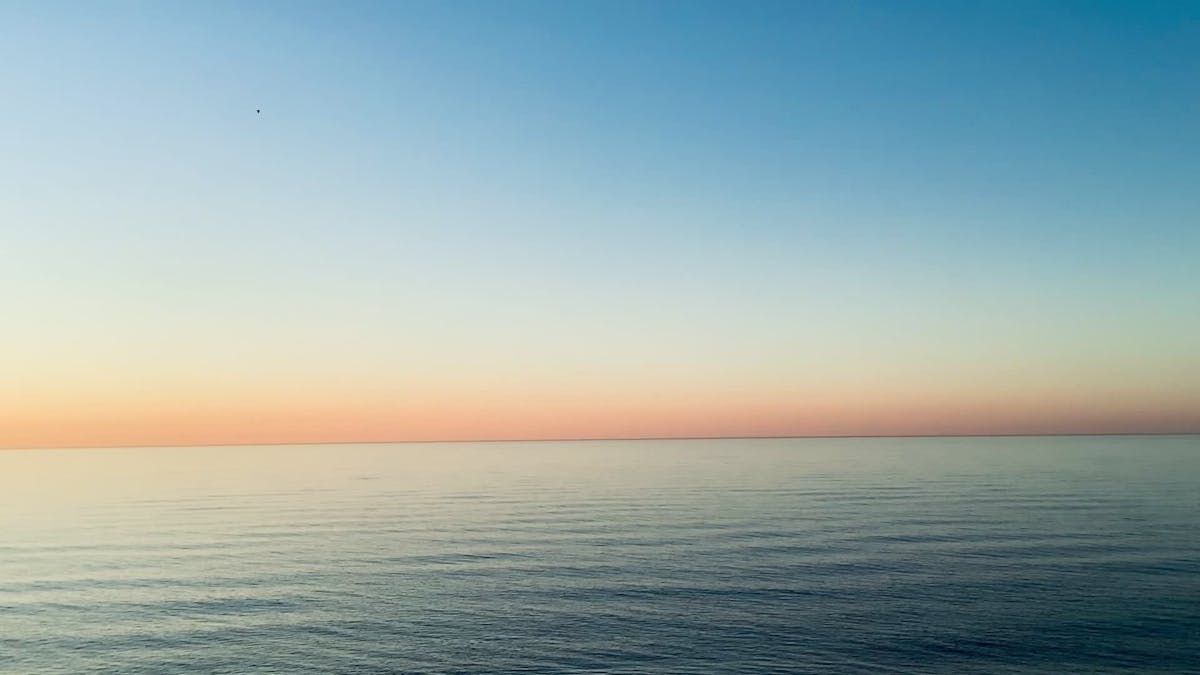 Joni Sense Videos, Download The BEST Free 4k Stock Video Footage & Joni ...