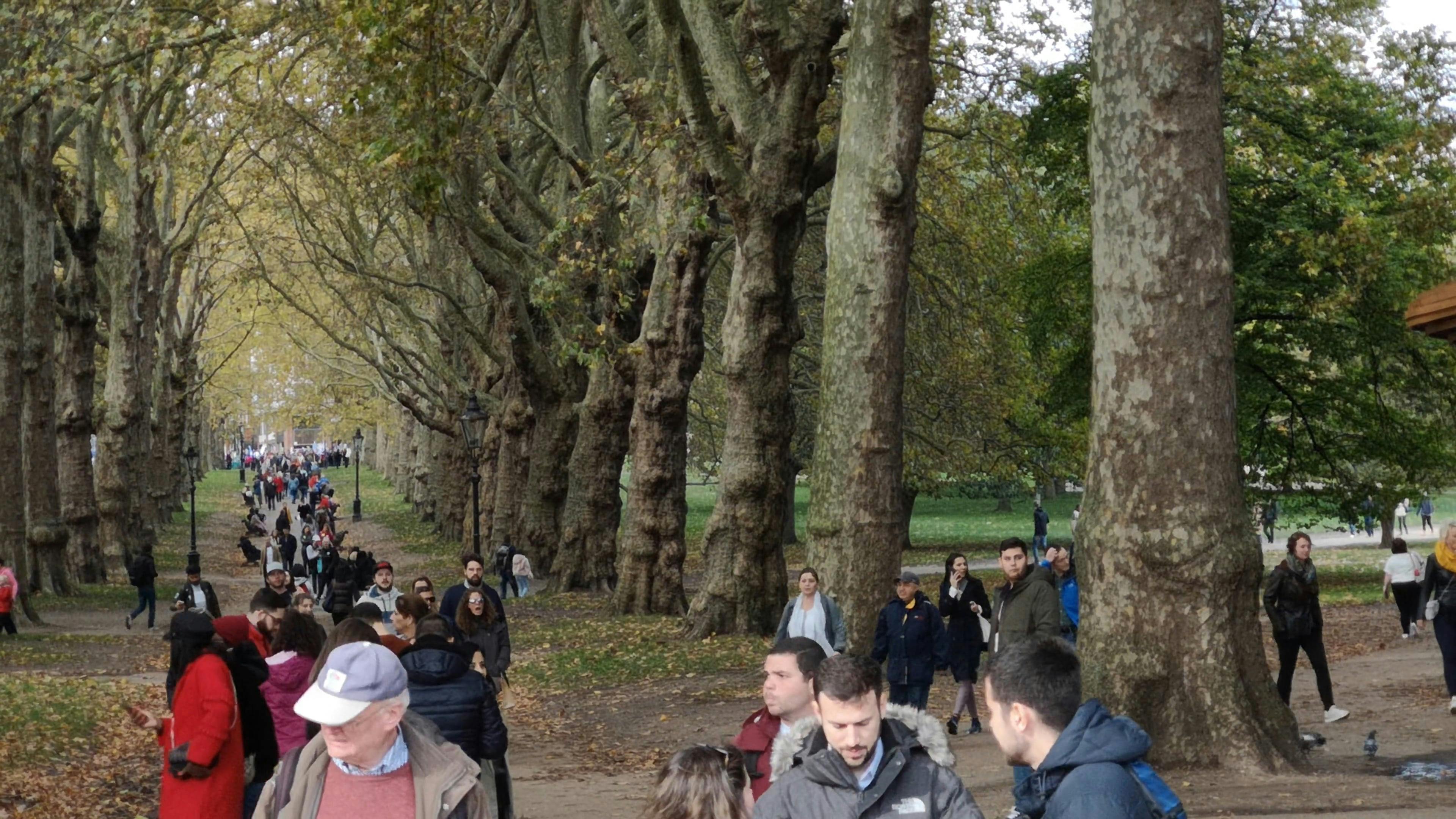 People Gathering In A Park In London · Free Stock Video