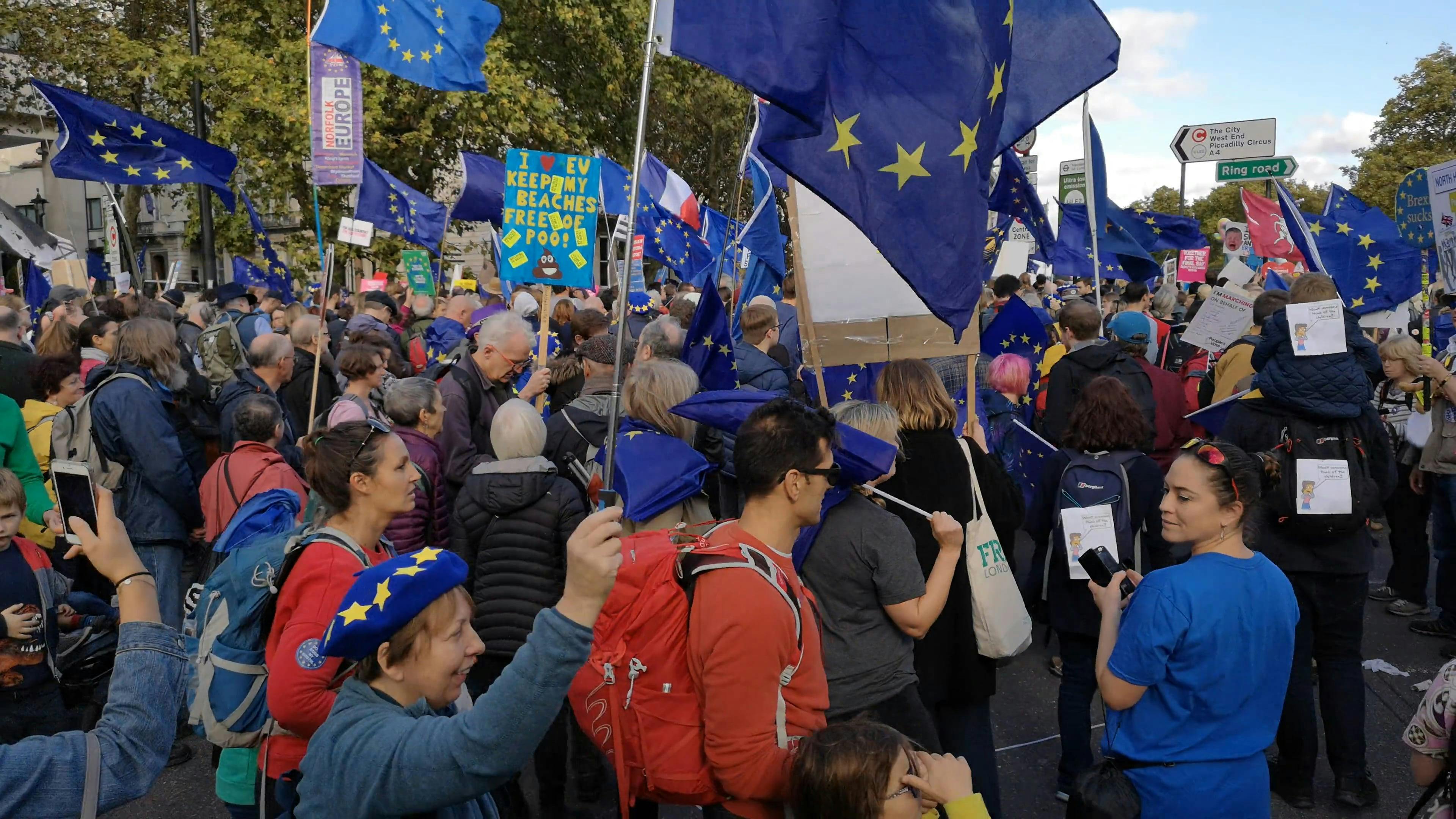 Demonstration Videos, Download The BEST Free 4k Stock Video Footage ...