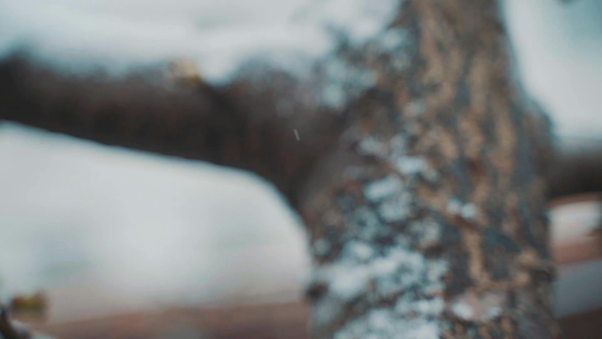 Detailed Snow Videos, Download The BEST Free 4k Stock Video Footage ...