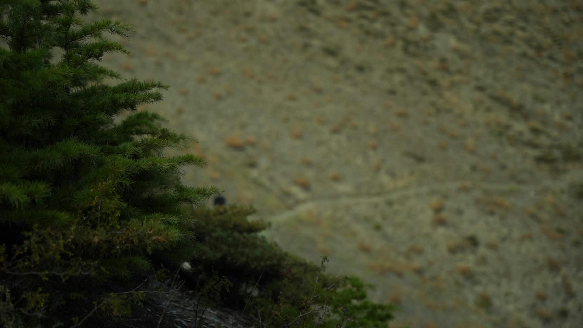 3 Mb Videos, Download The BEST Free 4k Stock Video Footage & 3 Mb HD ...