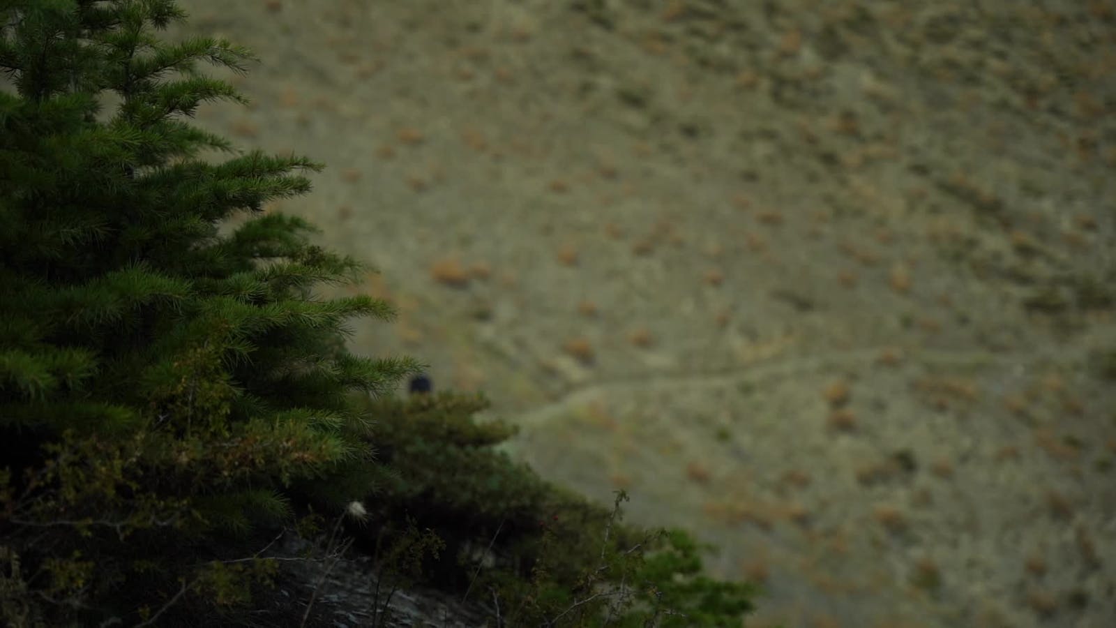 Pawoo+Little+Girls+And+Boys Videos, Download The BEST Free 4k Stock ...