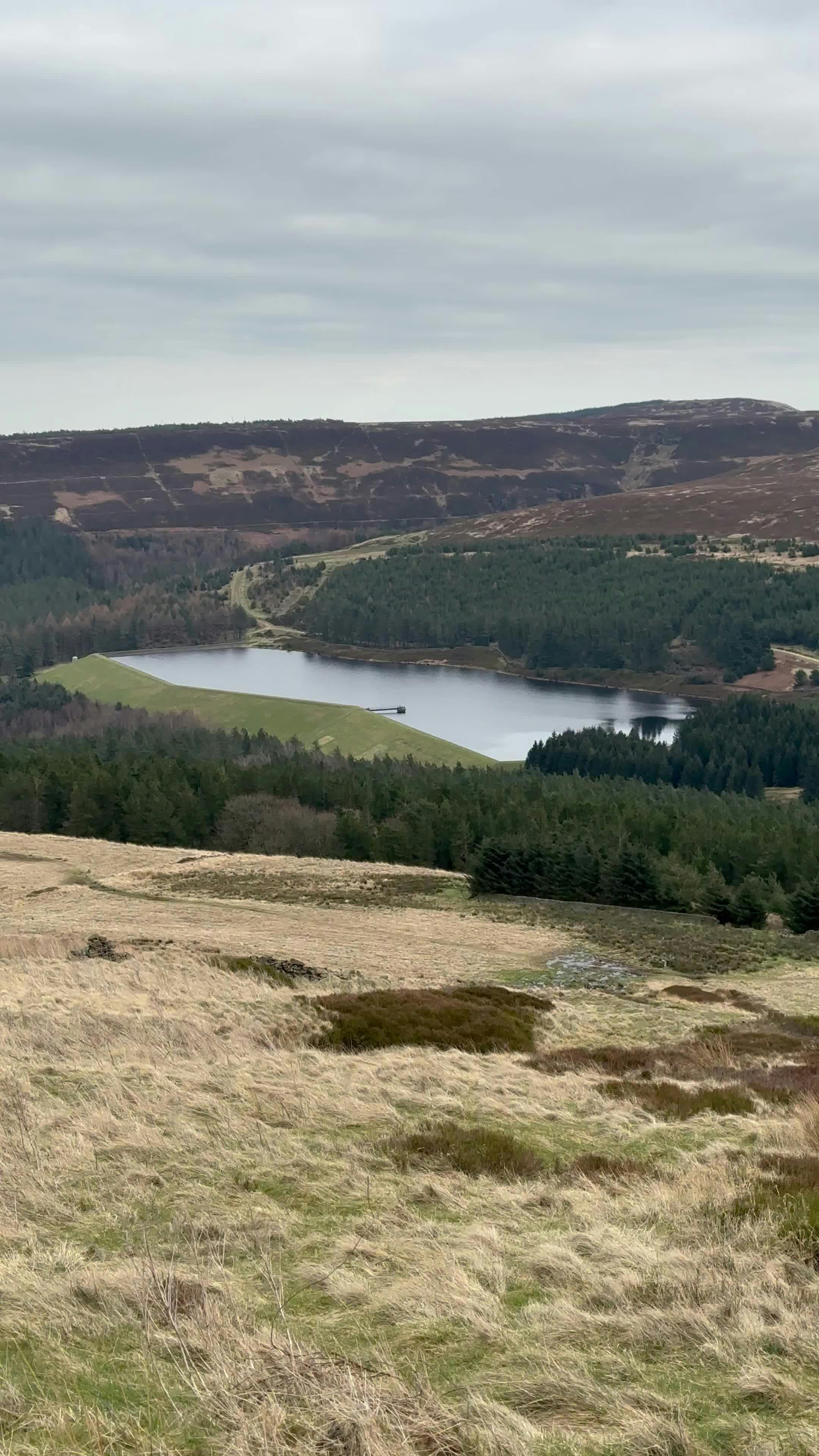 Scenic View of Serene Hillside Lake Free Stock Video Footage, Royalty ...