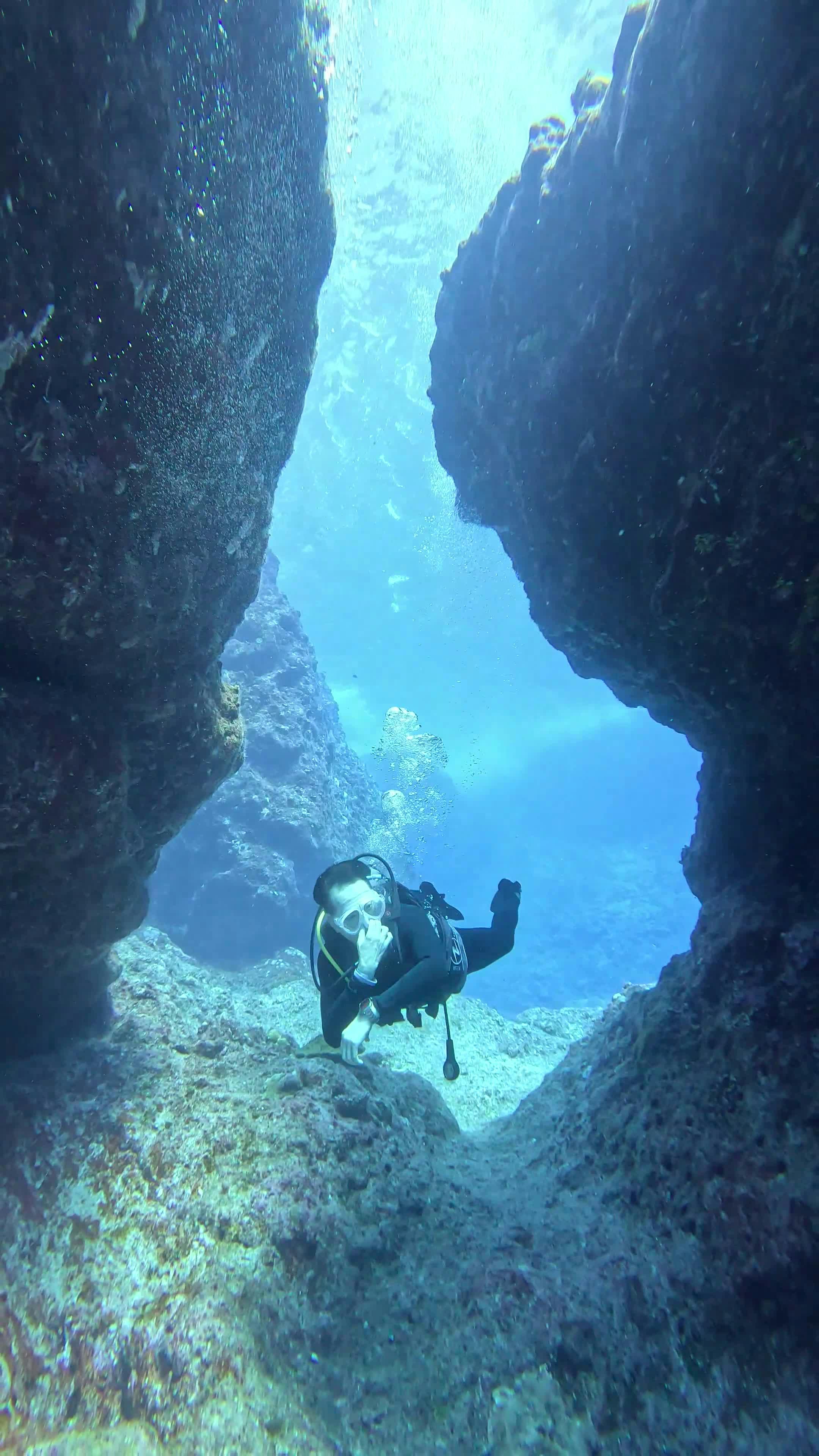 Scuba Divers Exploring Underwater Cliff Free Stock Video Footage ...