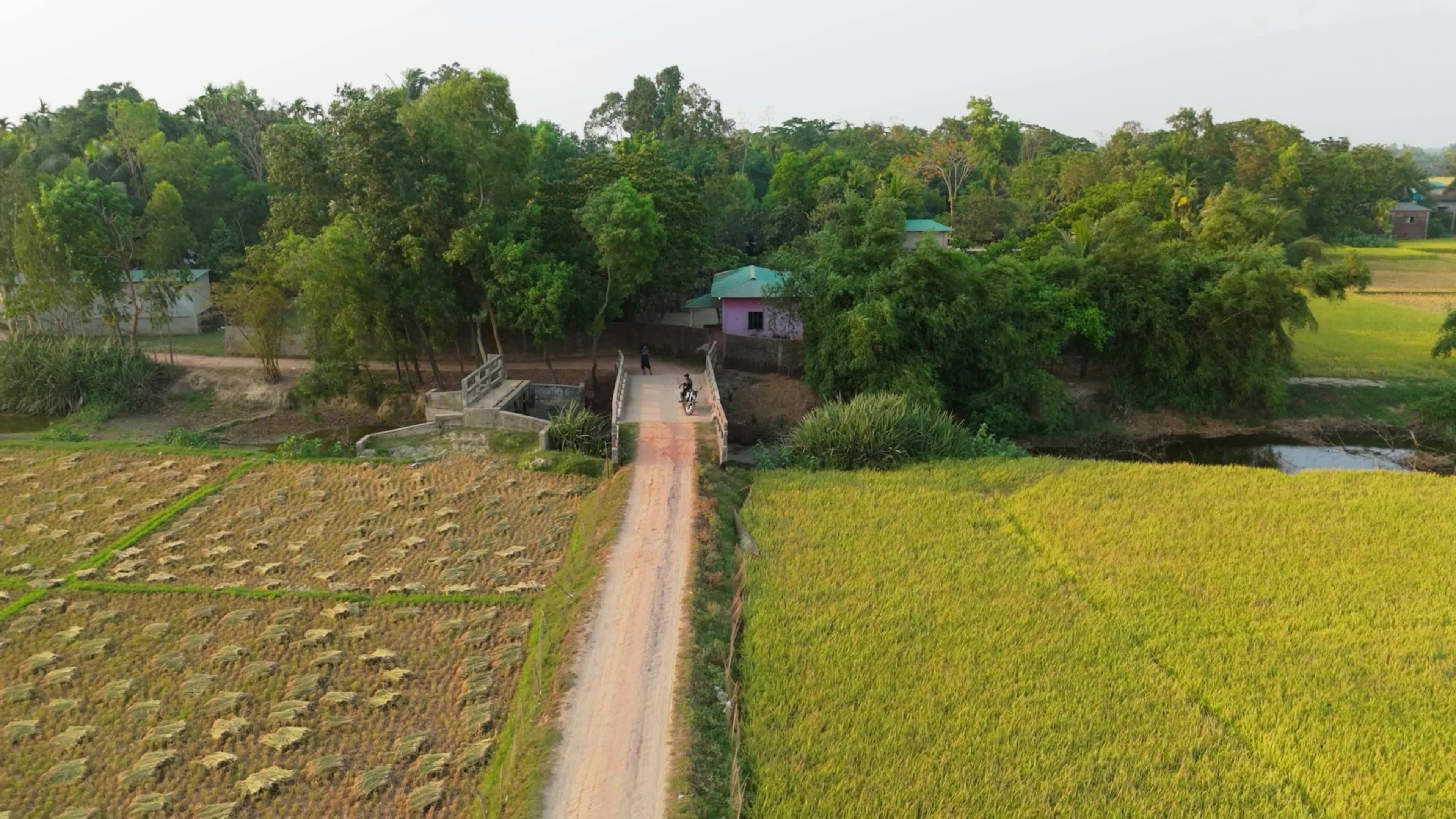 Drone Aerial View of Bangladesh Countryside Free Stock Video Footage ...