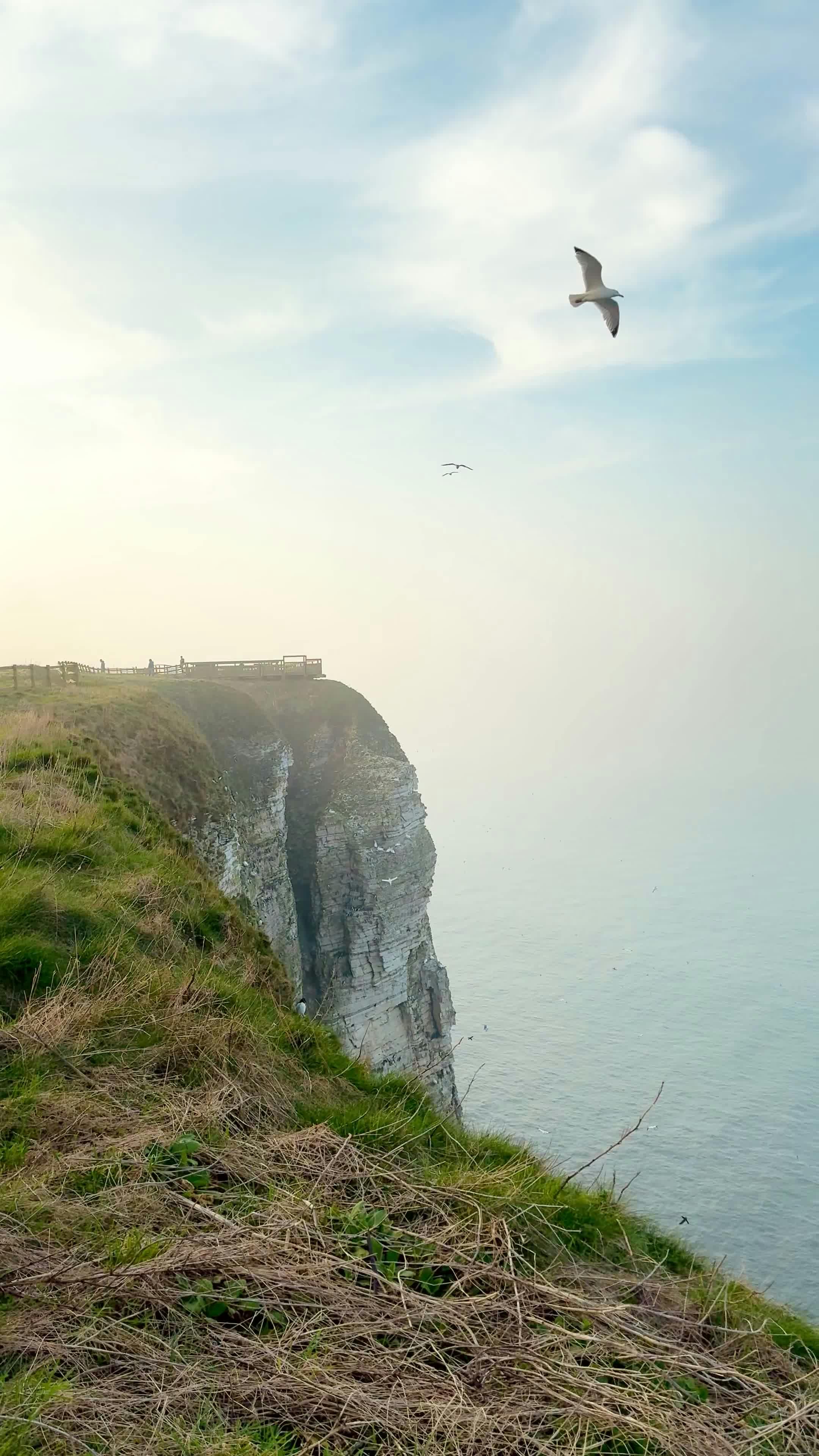 Hd Videos, Download The BEST Free 4k Stock Video Footage & Hd HD Video ...