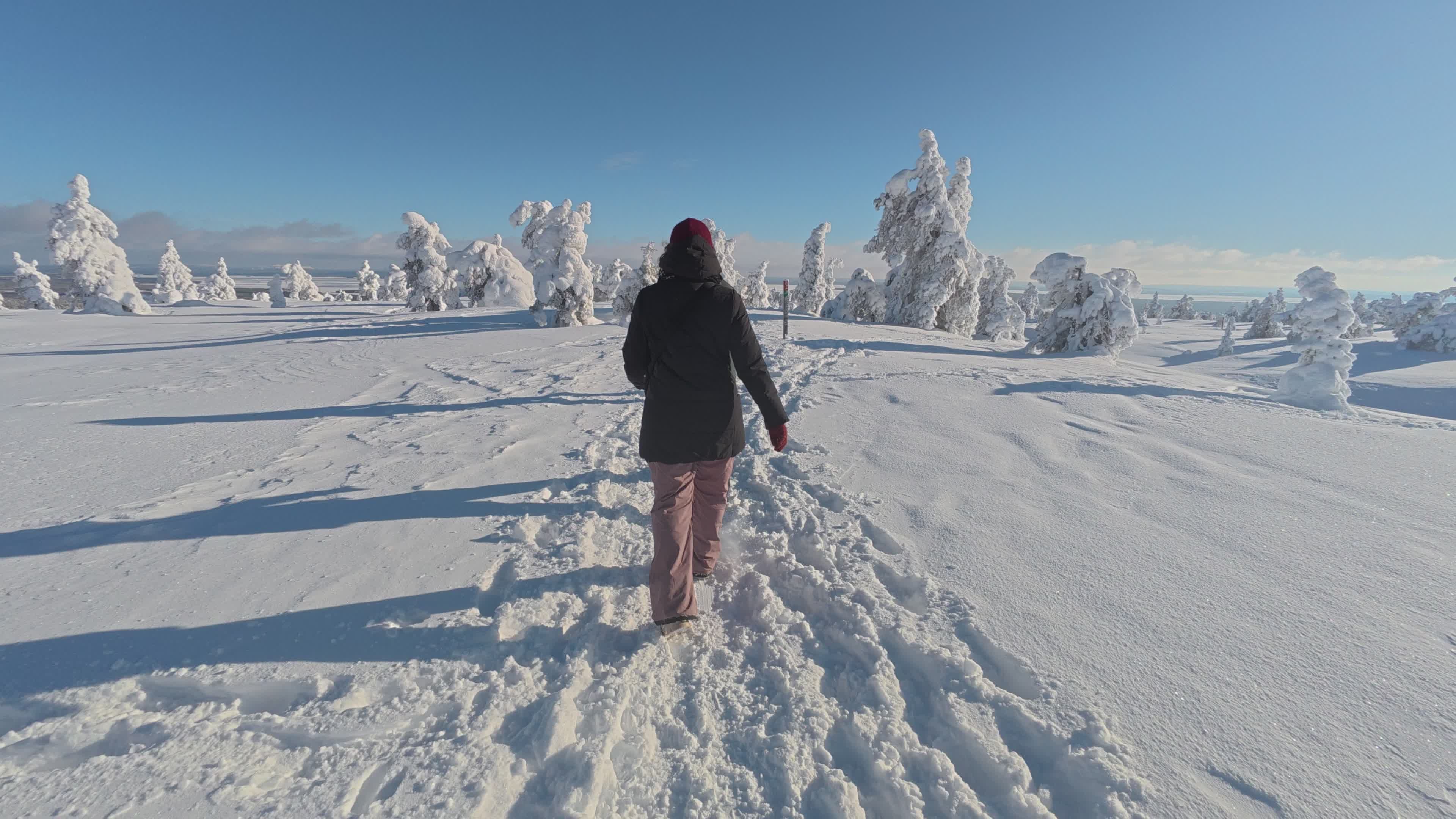 Serene Winter Snowshoe Hike Through Finnish Lapland Free Stock Video ...