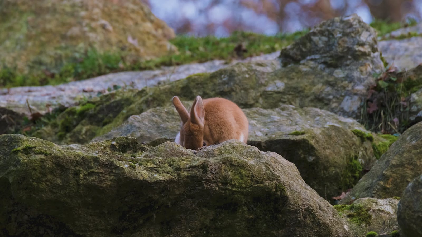 Cute+Girl++Vk Videos, Download The BEST Free 4k Stock Video Footage ...