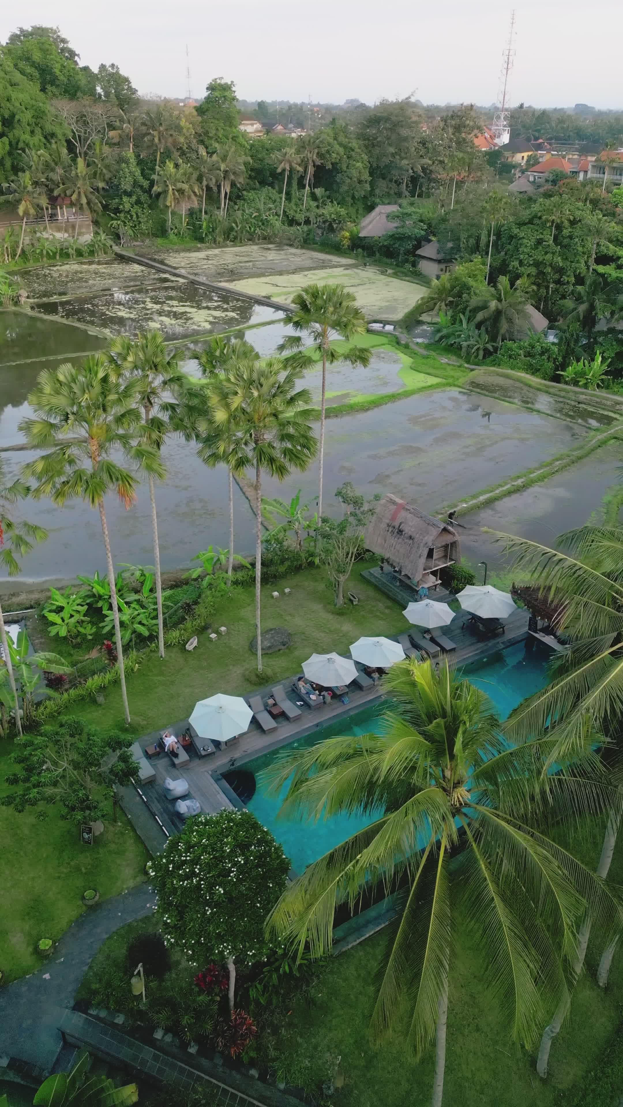 Aerial View of Luxurious Tropical Resort Pool Free Stock Video Footage ...