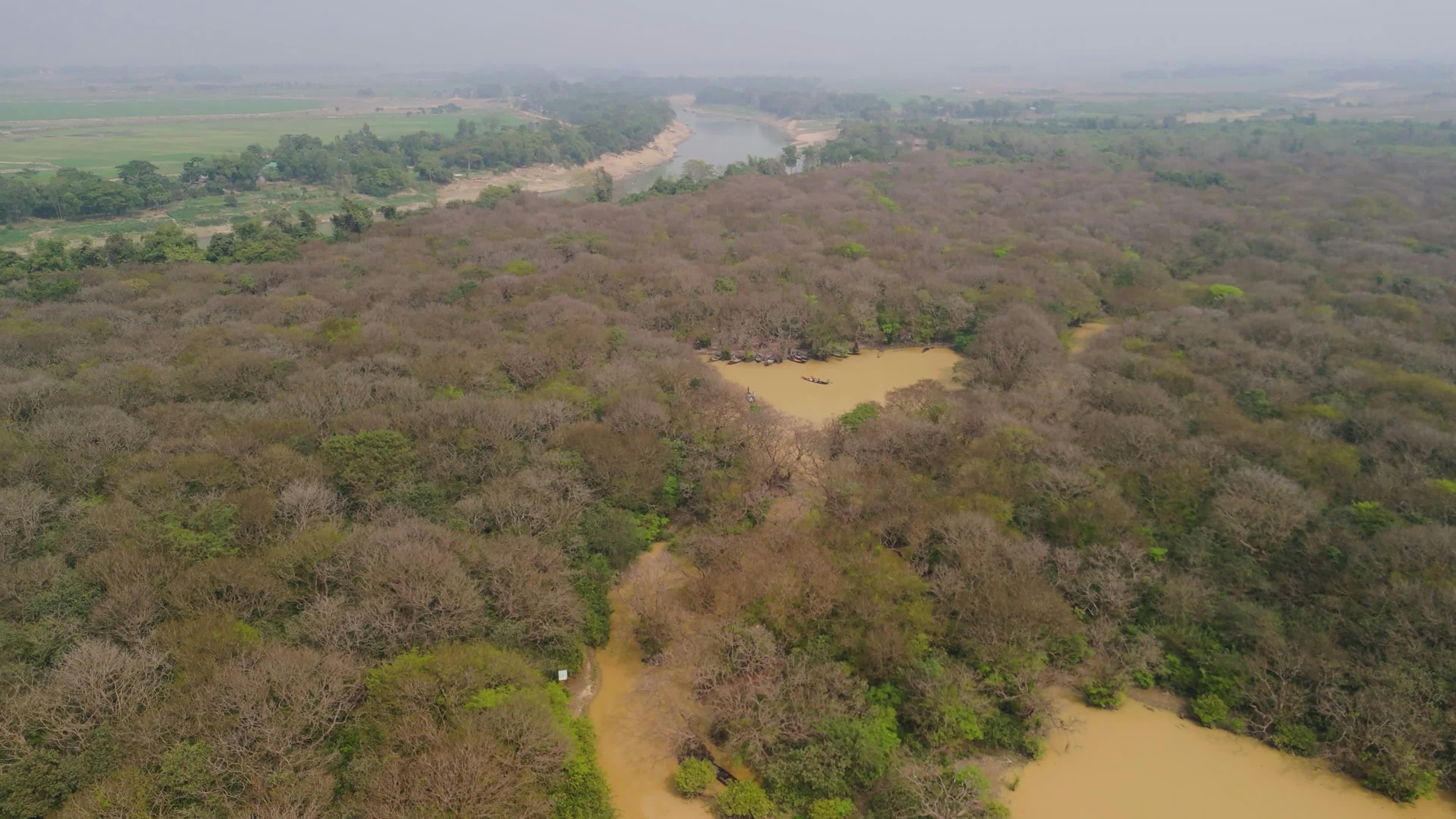 Aerial View of Bangladesh's Ratargul Swamp Forest Free Stock Video ...