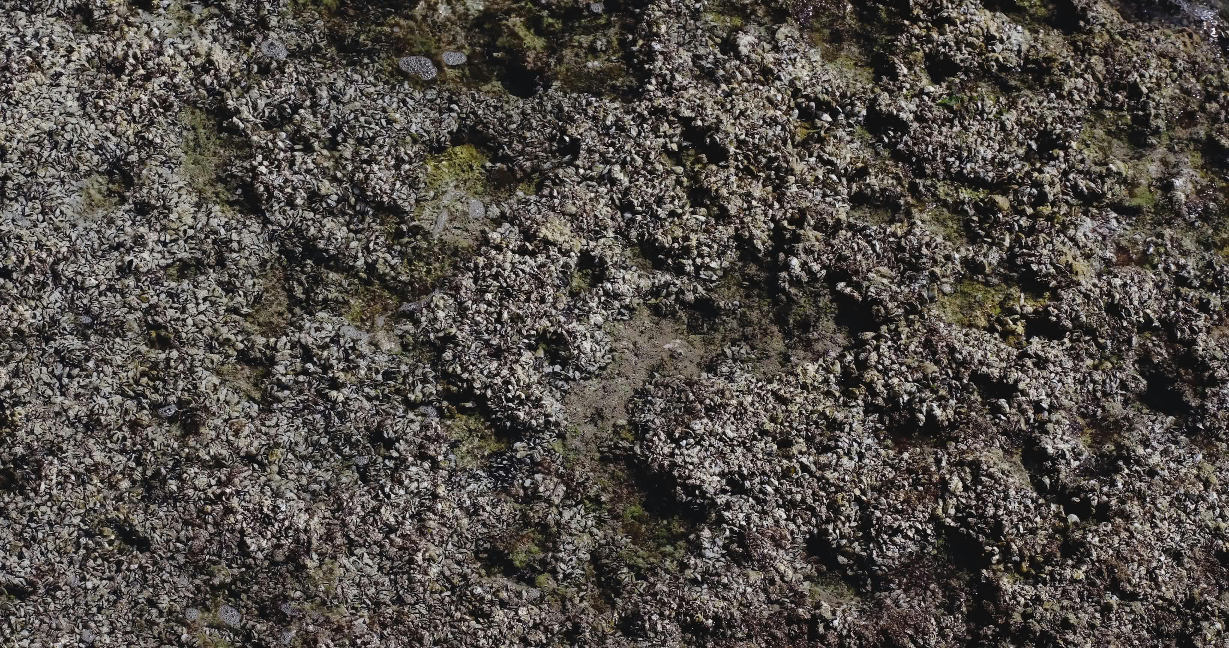 Rough Videos, Download The BEST Free 4k Stock Video Footage & Rough HD ...