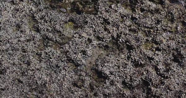 Obs Background Videos, Download The BEST Free 4k Stock Video Footage ...