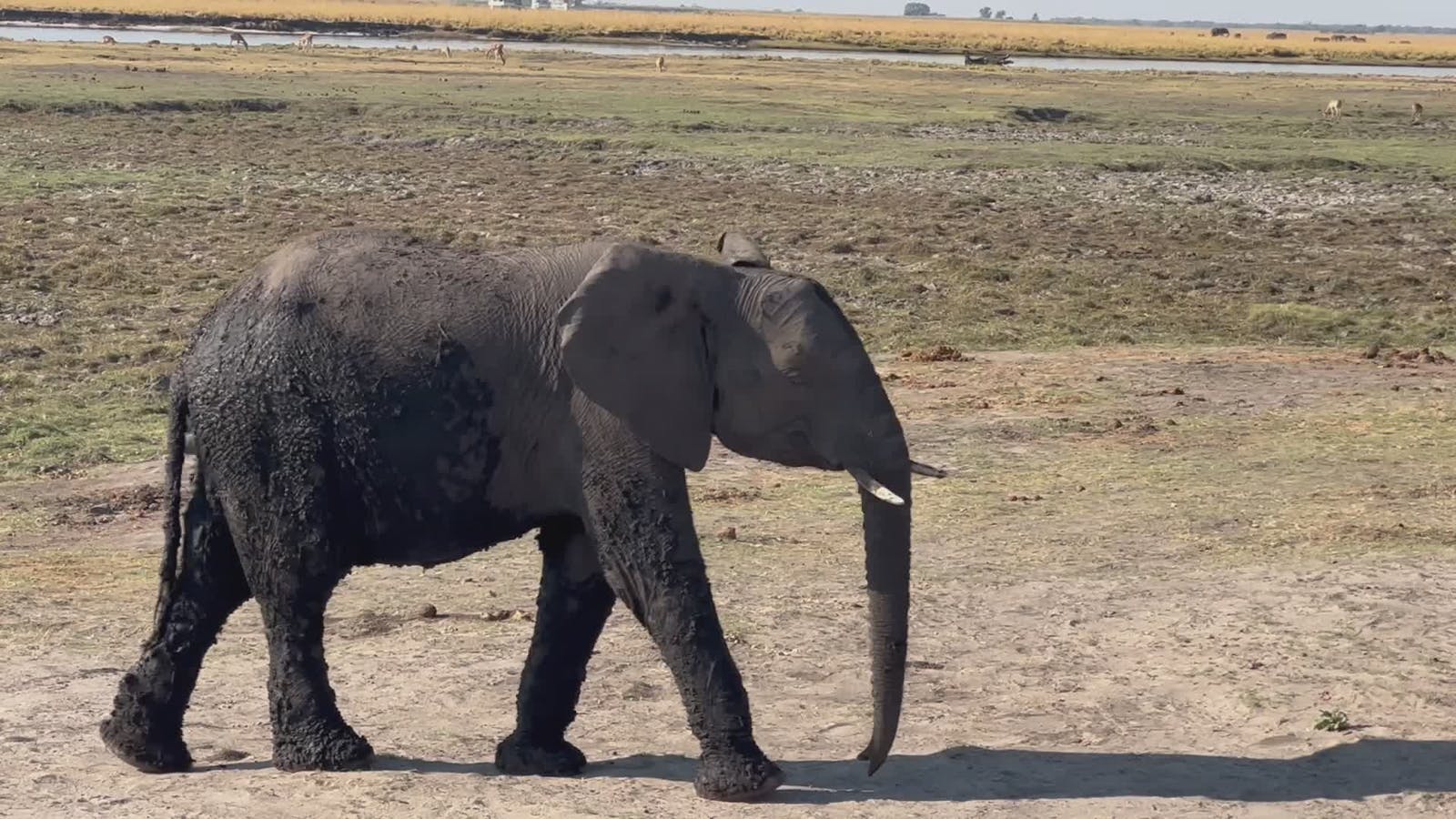 Unsplash Video Videos, Download The BEST Free 4k Stock Video Footage ...