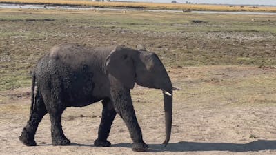 Unsplash Video Videos, Download The BEST Free 4k Stock Video Footage ...