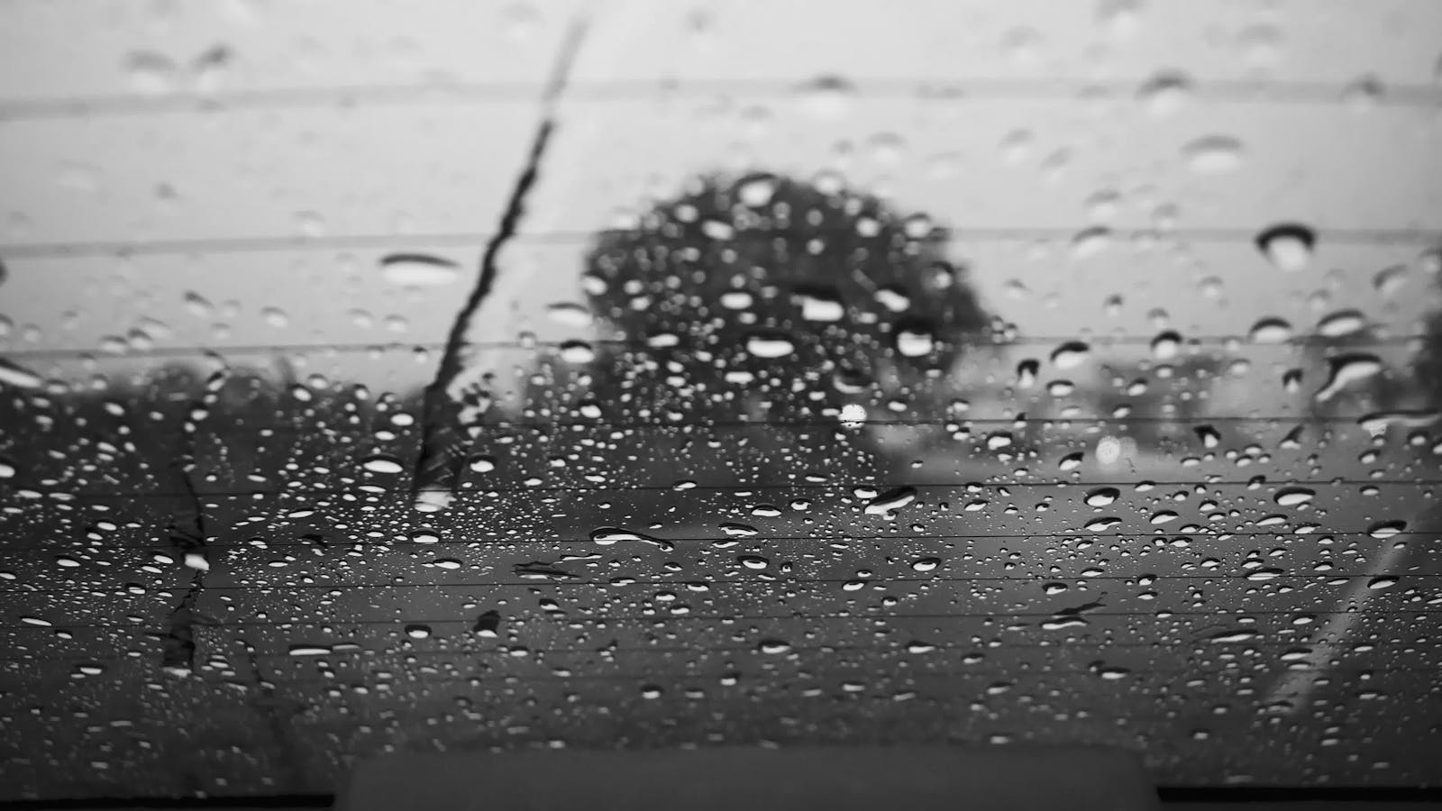 Car Videos For Editing Videos, Download The BEST Free 4k Stock Video ...