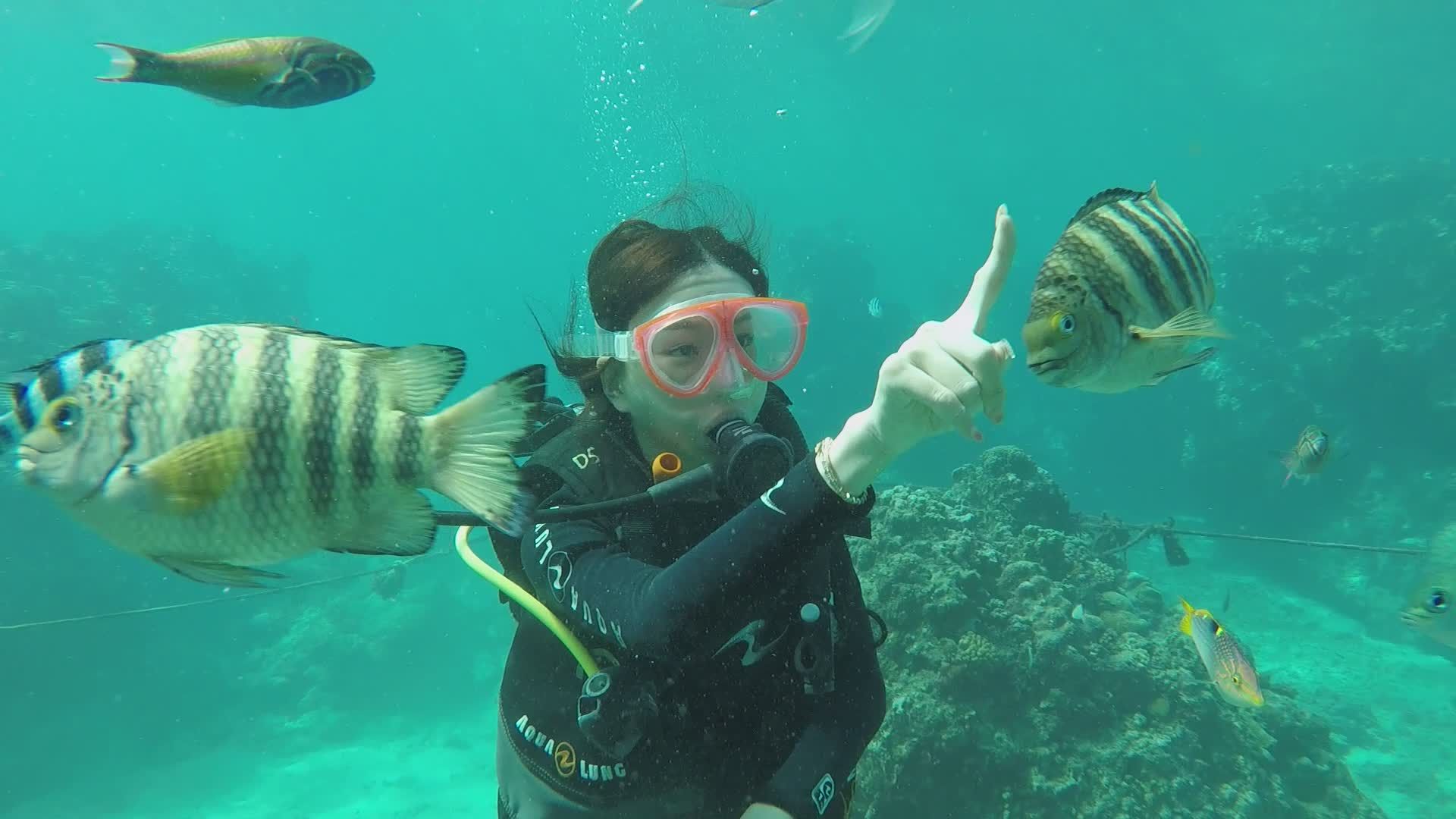 Scuba Excitement Videos, Download The BEST Free 4k Stock Video Footage ...