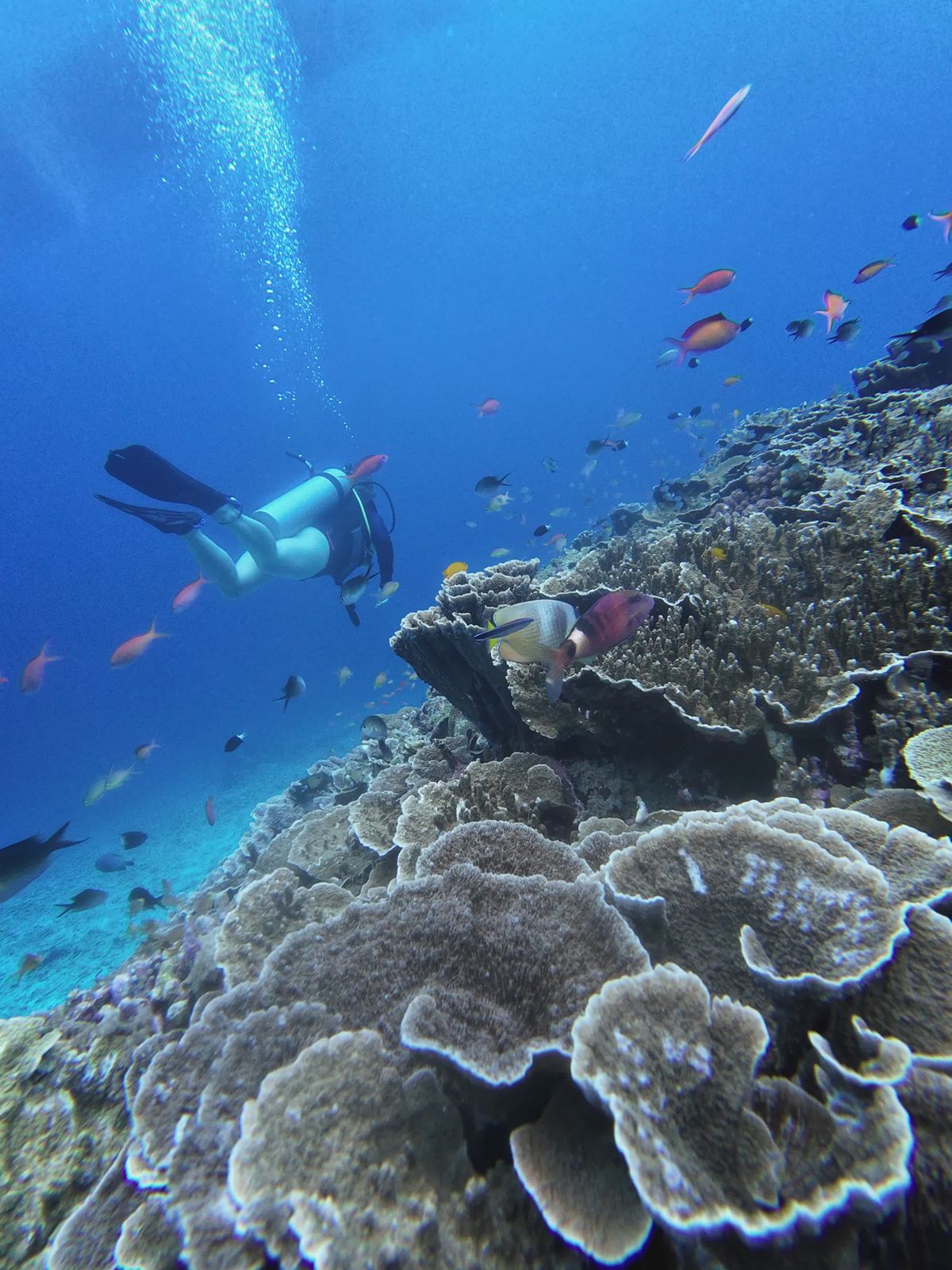 Cewe Indo Mandi Videos Download The Best Free 4k Stock Video Footage And Cewe Indo Mandi Hd Video