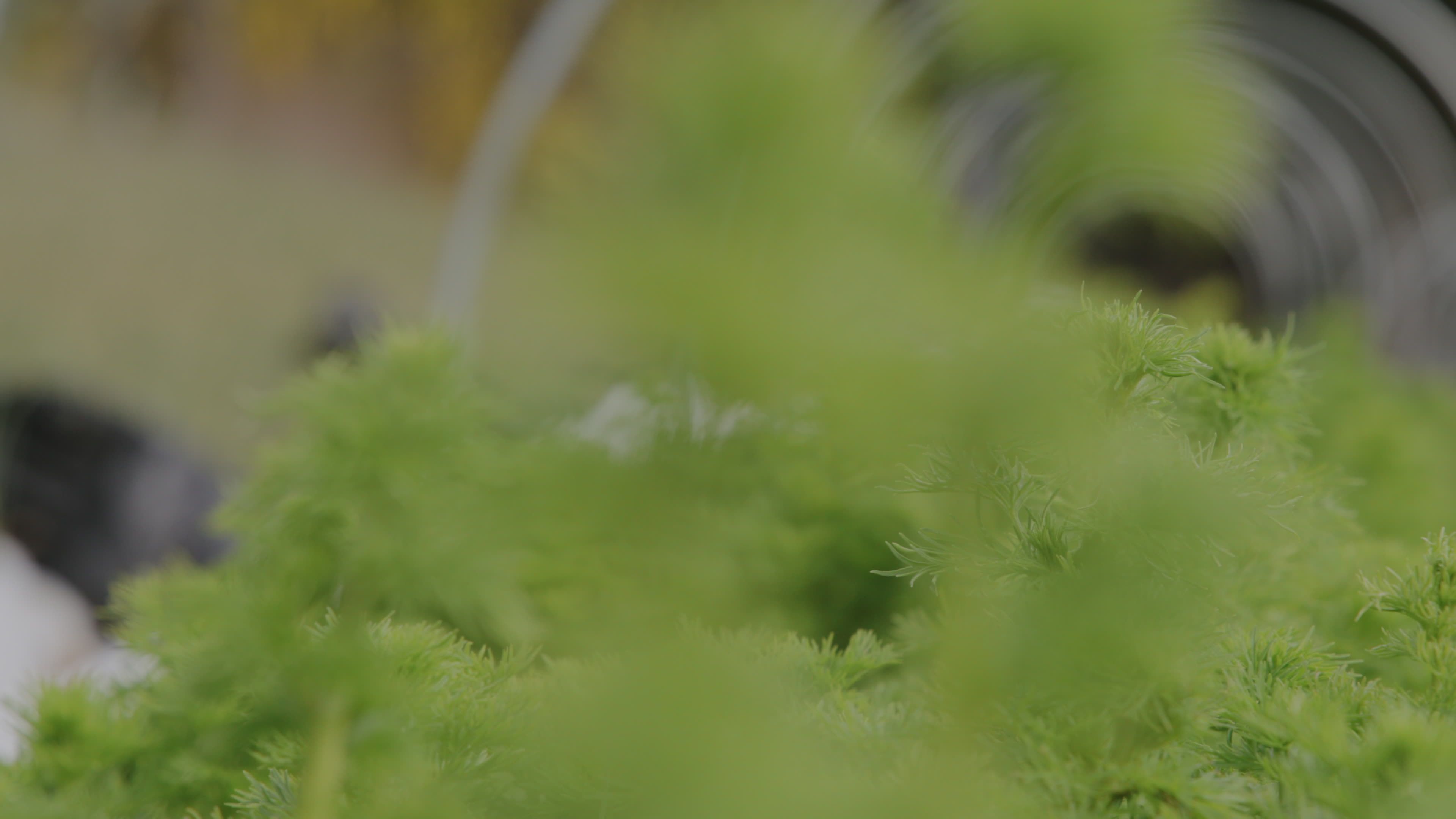 Obs Background Videos, Download The BEST Free 4k Stock Video Footage ...