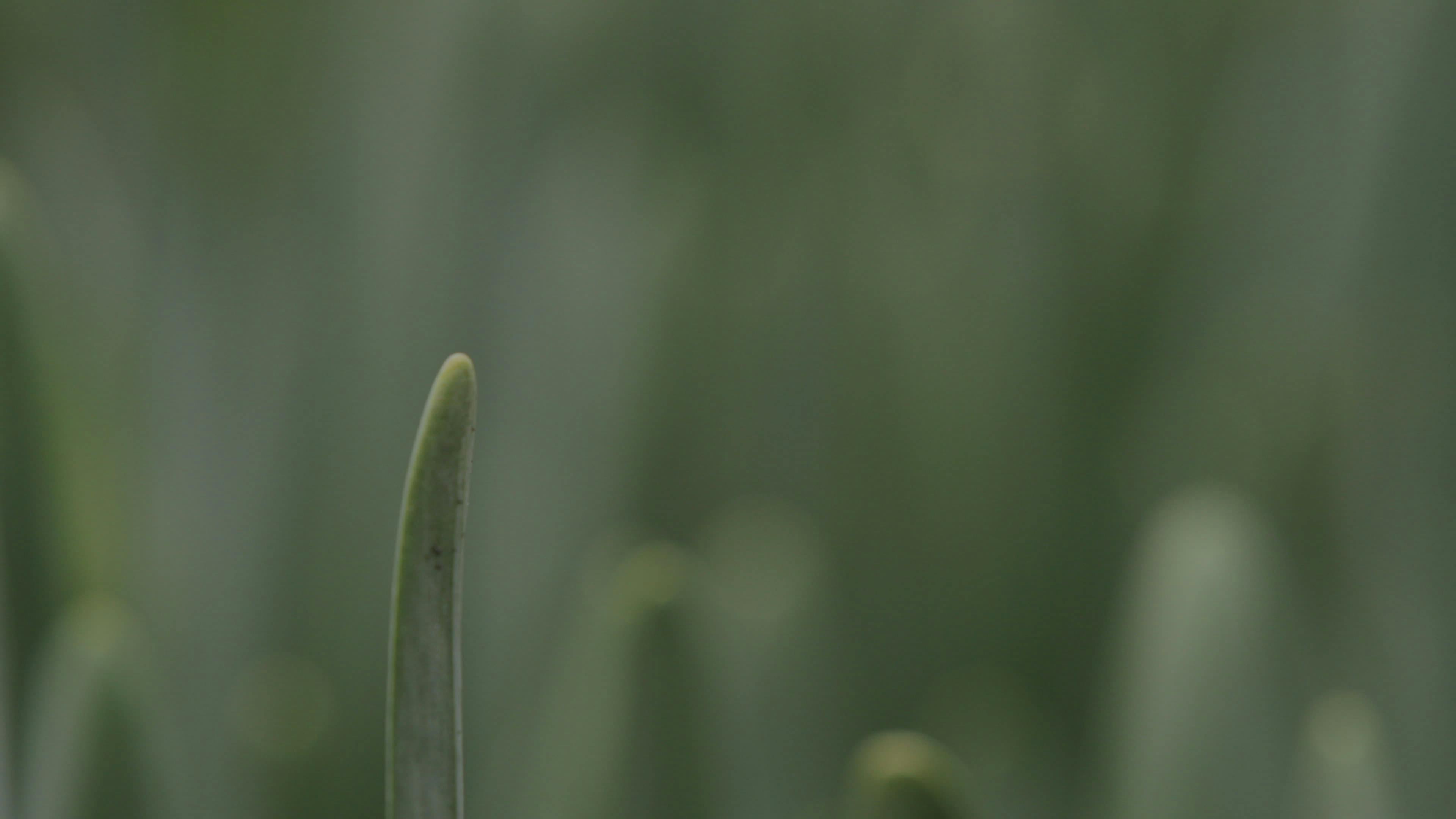 Vido Background Videos, Download The BEST Free 4k Stock Video Footage ...