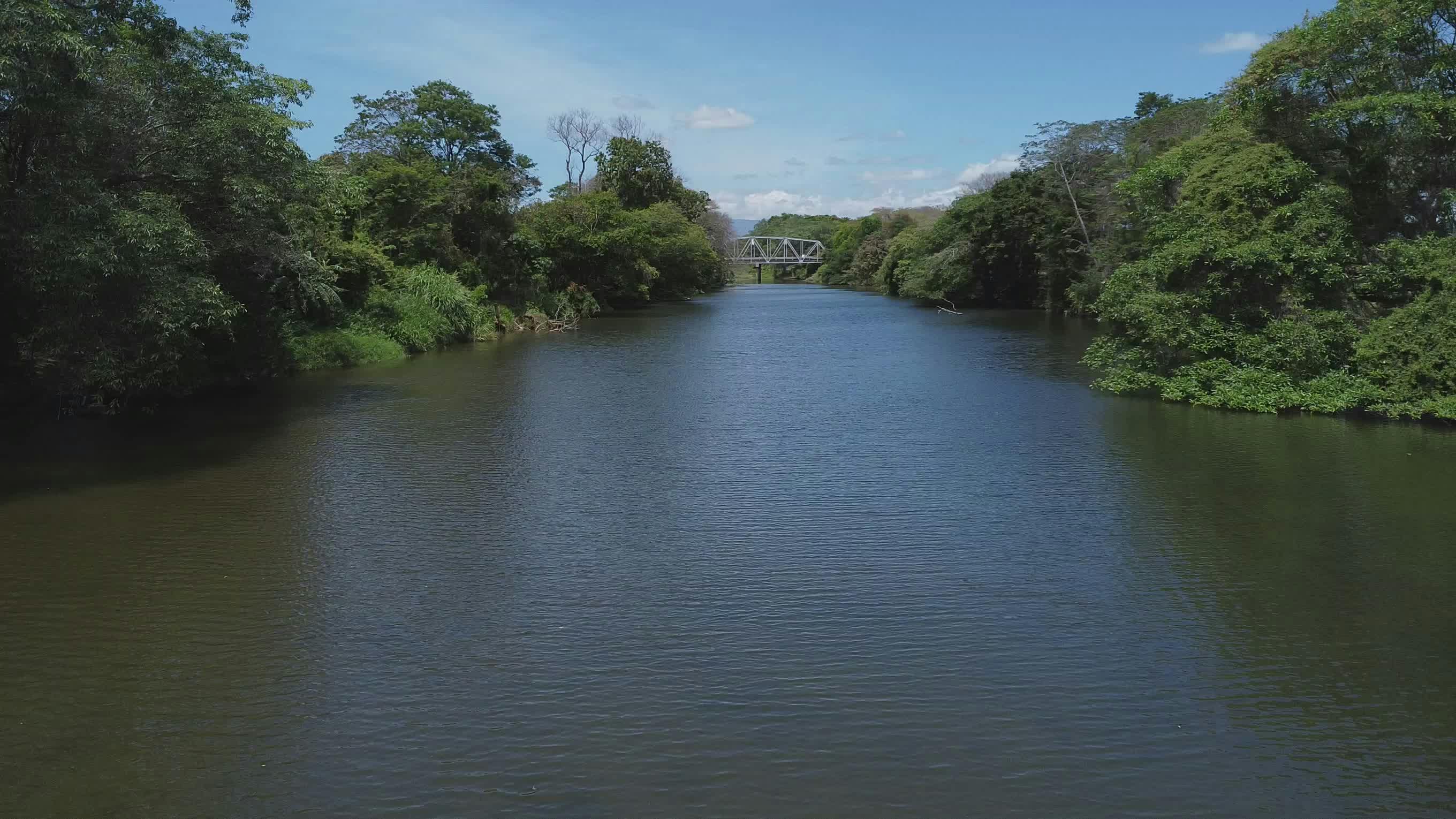 Stable Videos, Download The BEST Free 4k Stock Video Footage & Stable ...