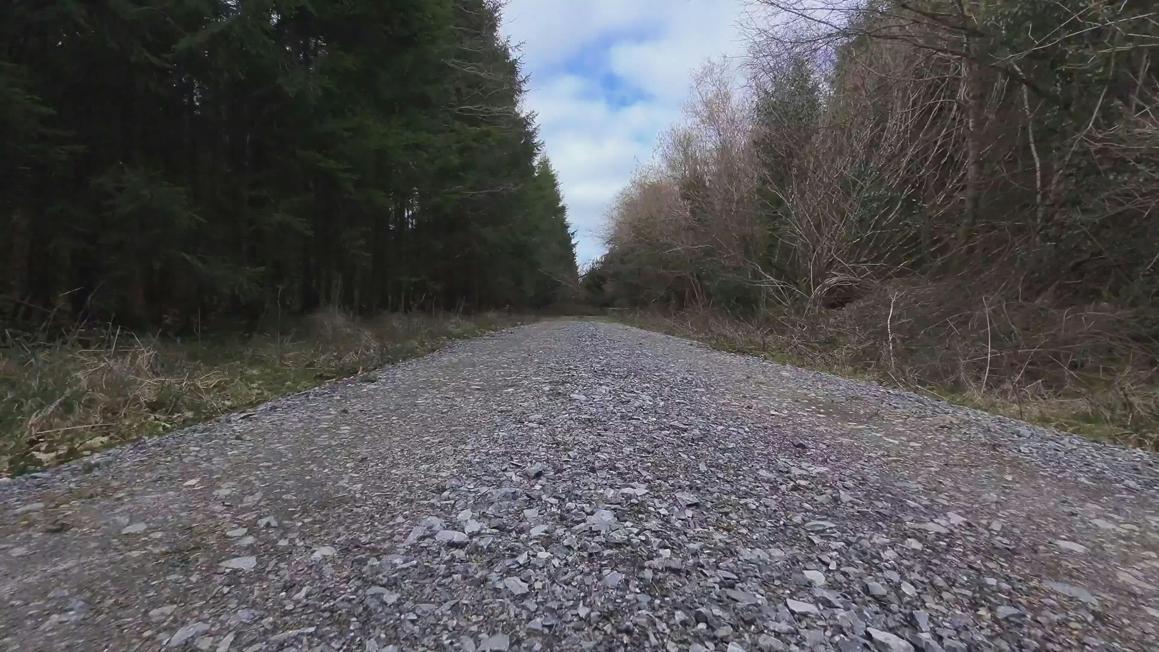 Serene Drone Journey through Irish Forest Path Free Stock Video Footage ...