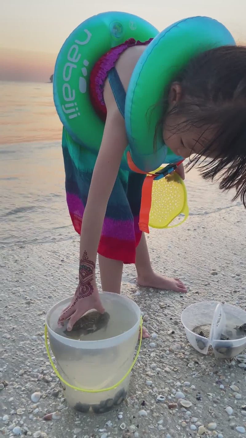 Girl+Gets+Railed Videos, Download The BEST Free 4k Stock Video Footage ...