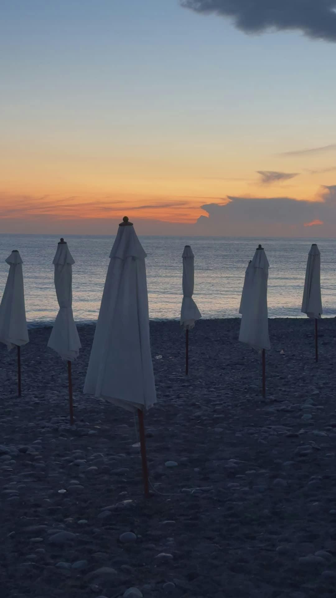 Fortaleza Digital Videos, Download The BEST Free 4k Stock Video Footage ...