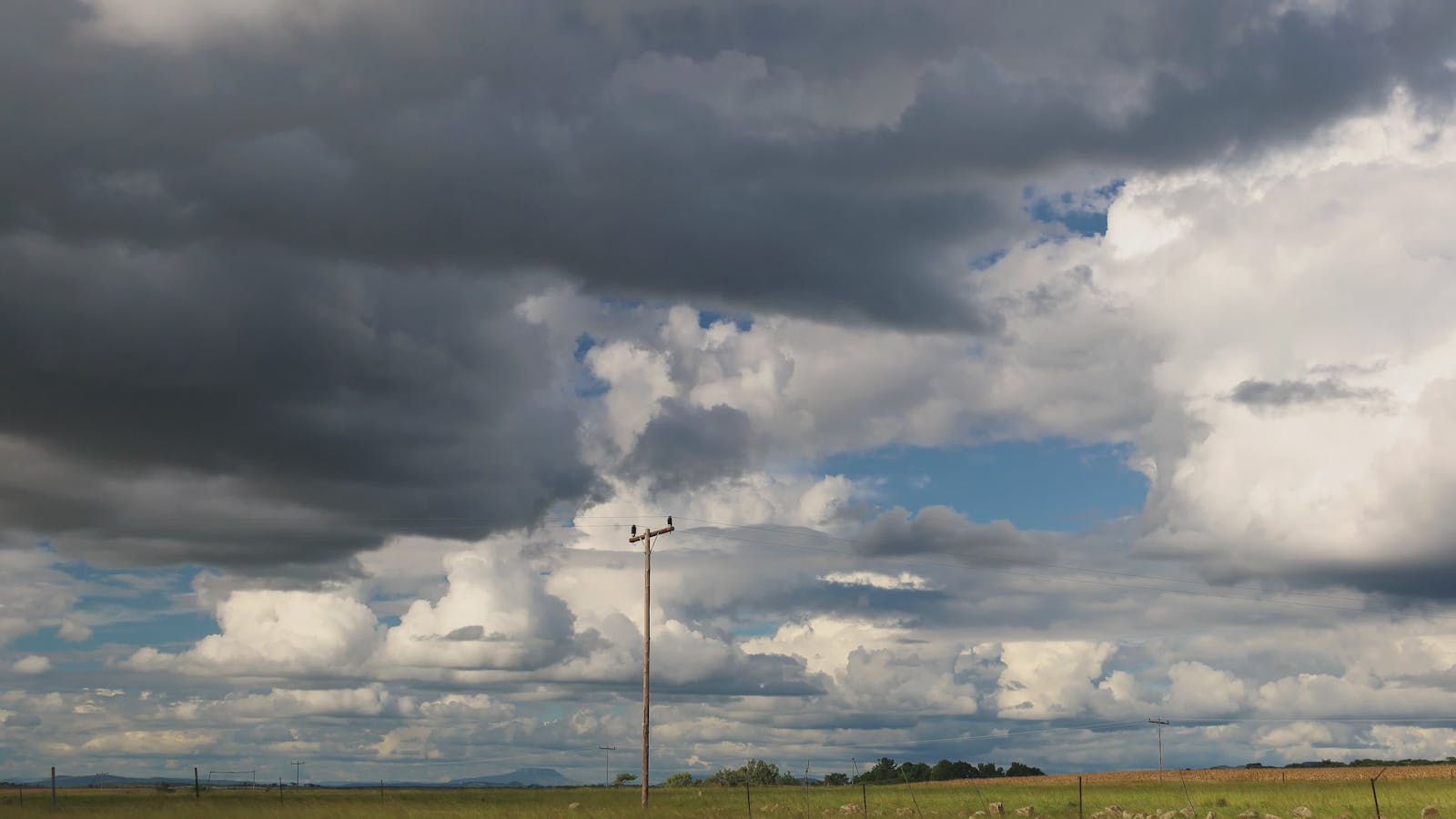 Video Placeholder Videos, Download The BEST Free 4k Stock Video Footage ...