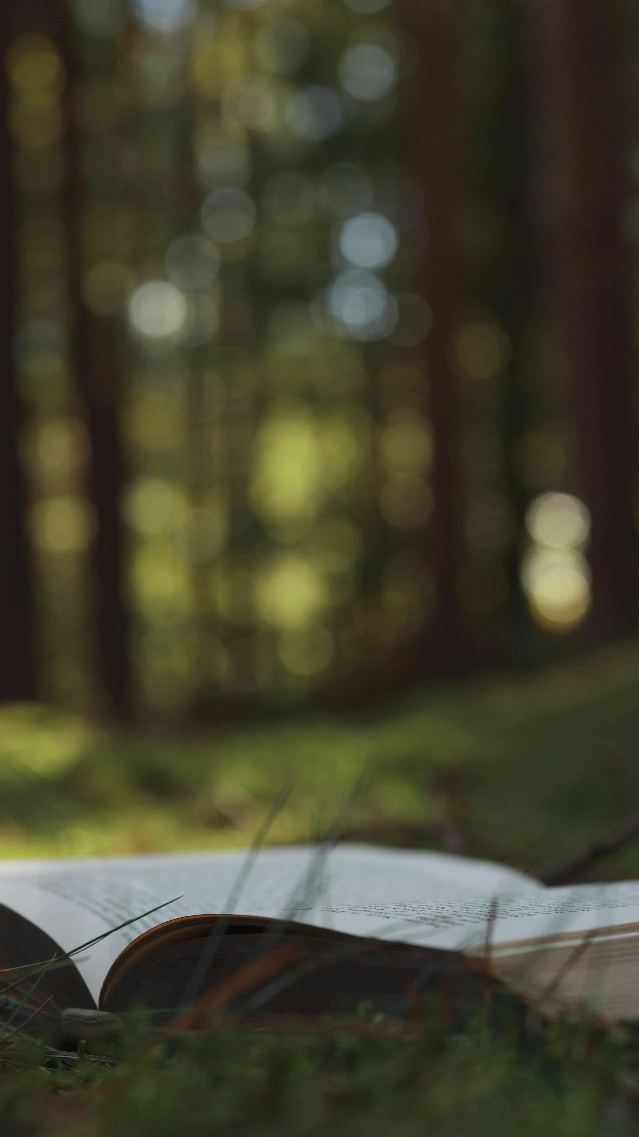 Authorizations Videos, Download The BEST Free 4k Stock Video Footage ...