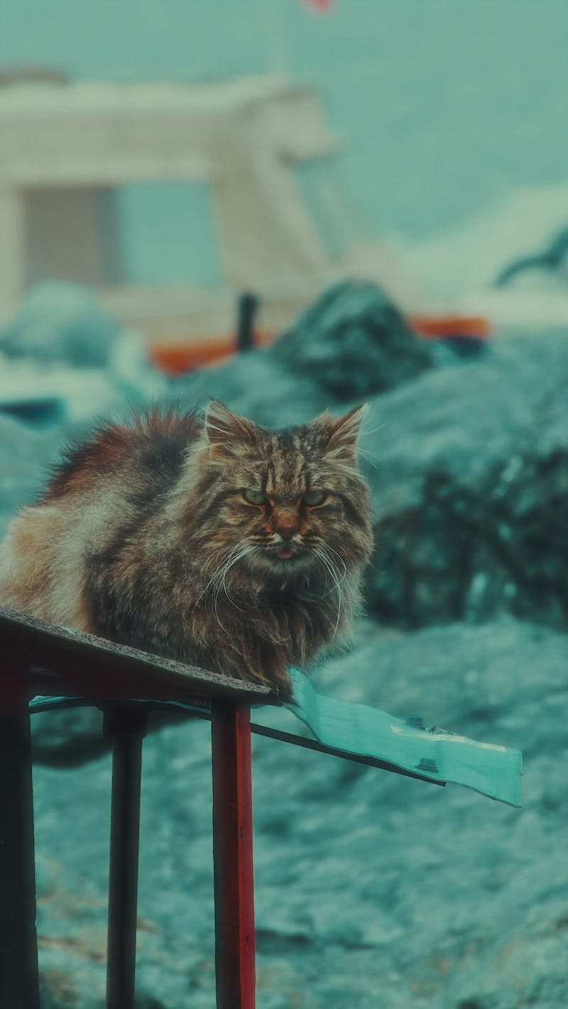 My.Mail.Ru+Vid+Hd Videos, Download The BEST Free 4k Stock Video Footage ...