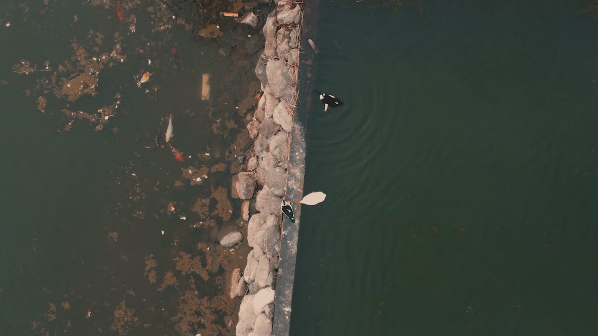 Slog Footage Videos, Download The BEST Free 4k Stock Video Footage ...