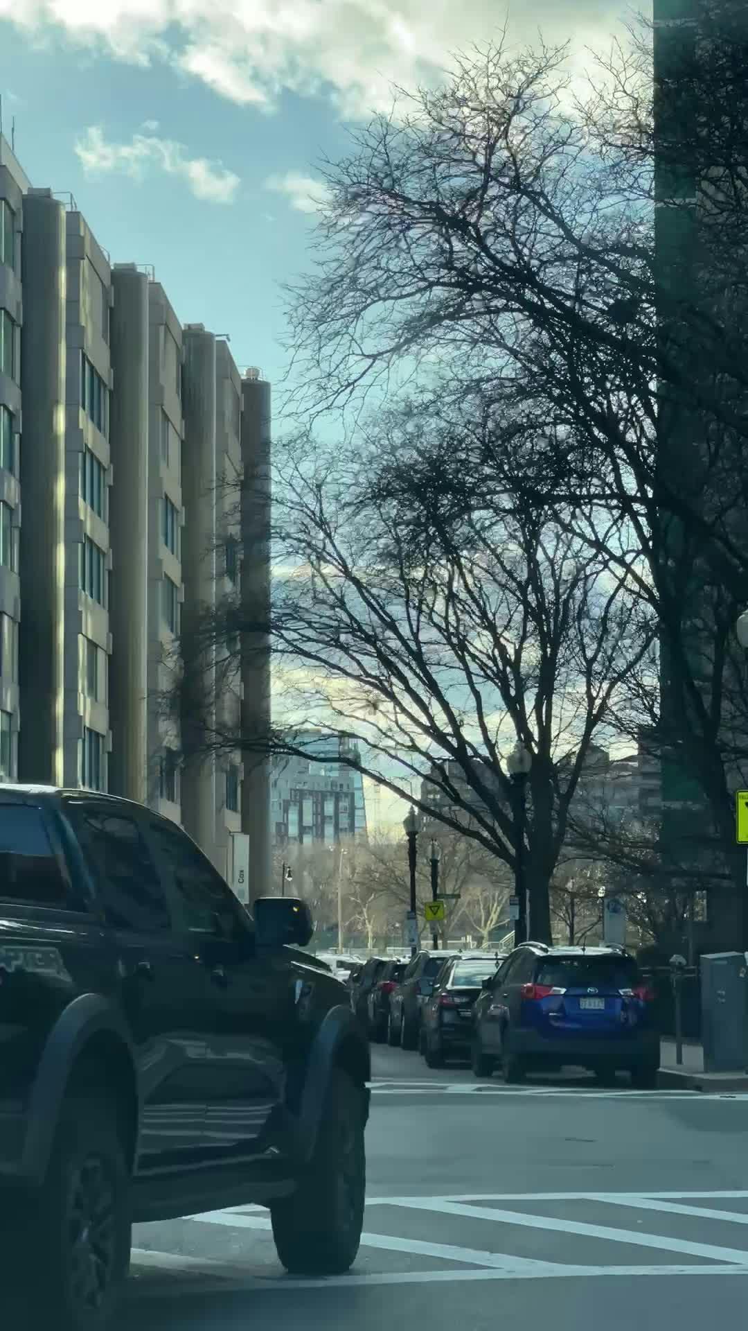 Tree In City Videos, Download The BEST Free 4k Stock Video Footage ...