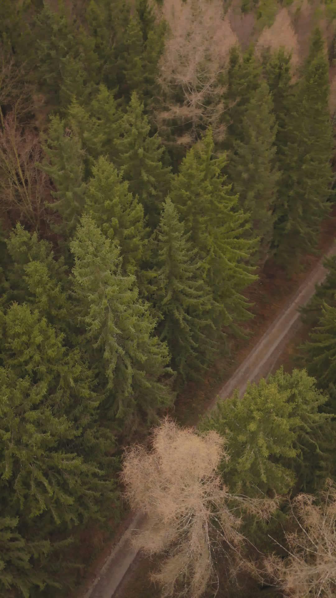 Road 4k Wallpaper Videos, Download The BEST Free 4k Stock Video Footage ...