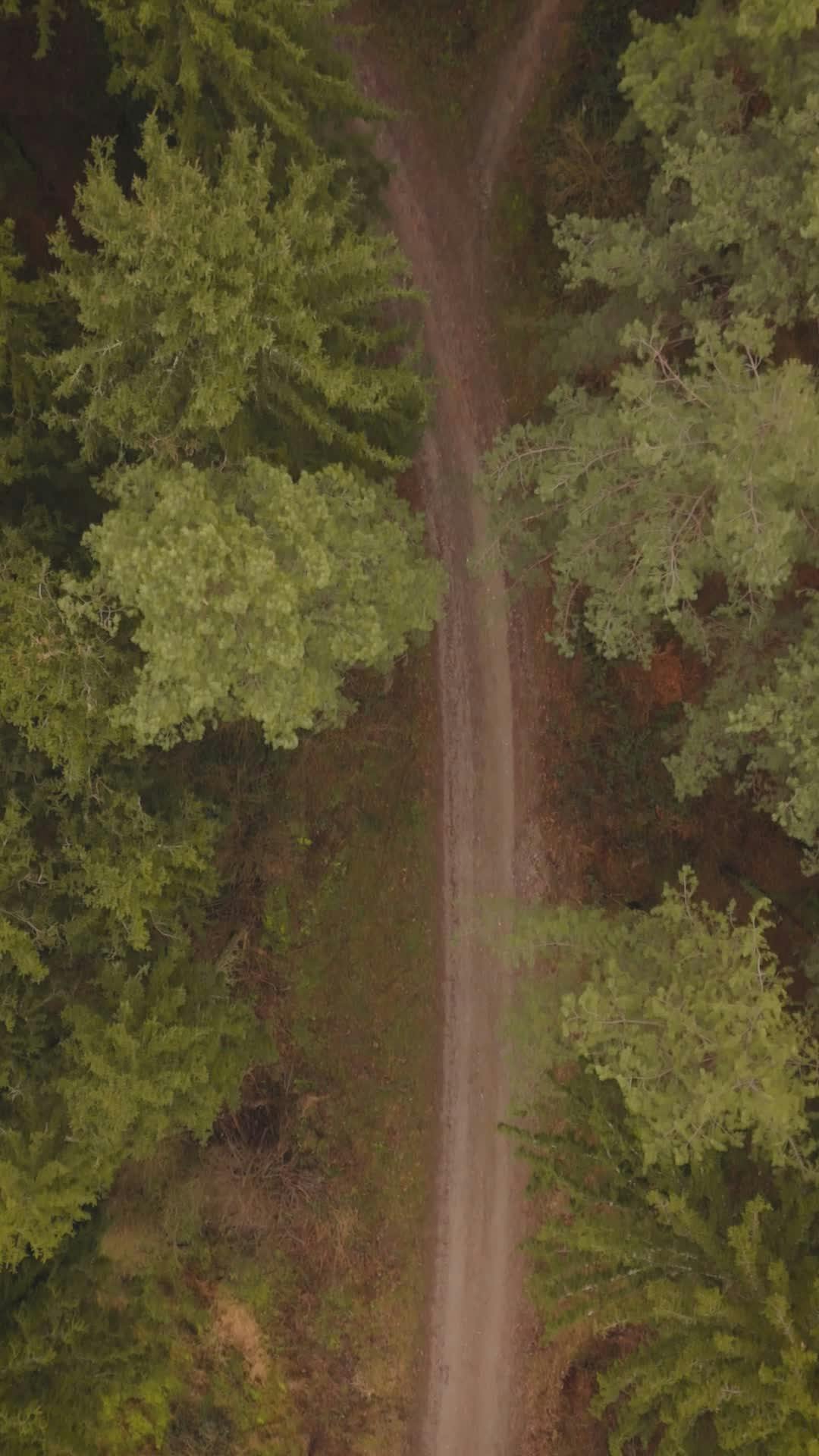 120fps 4k Videos, Download The BEST Free 4k Stock Video Footage ...